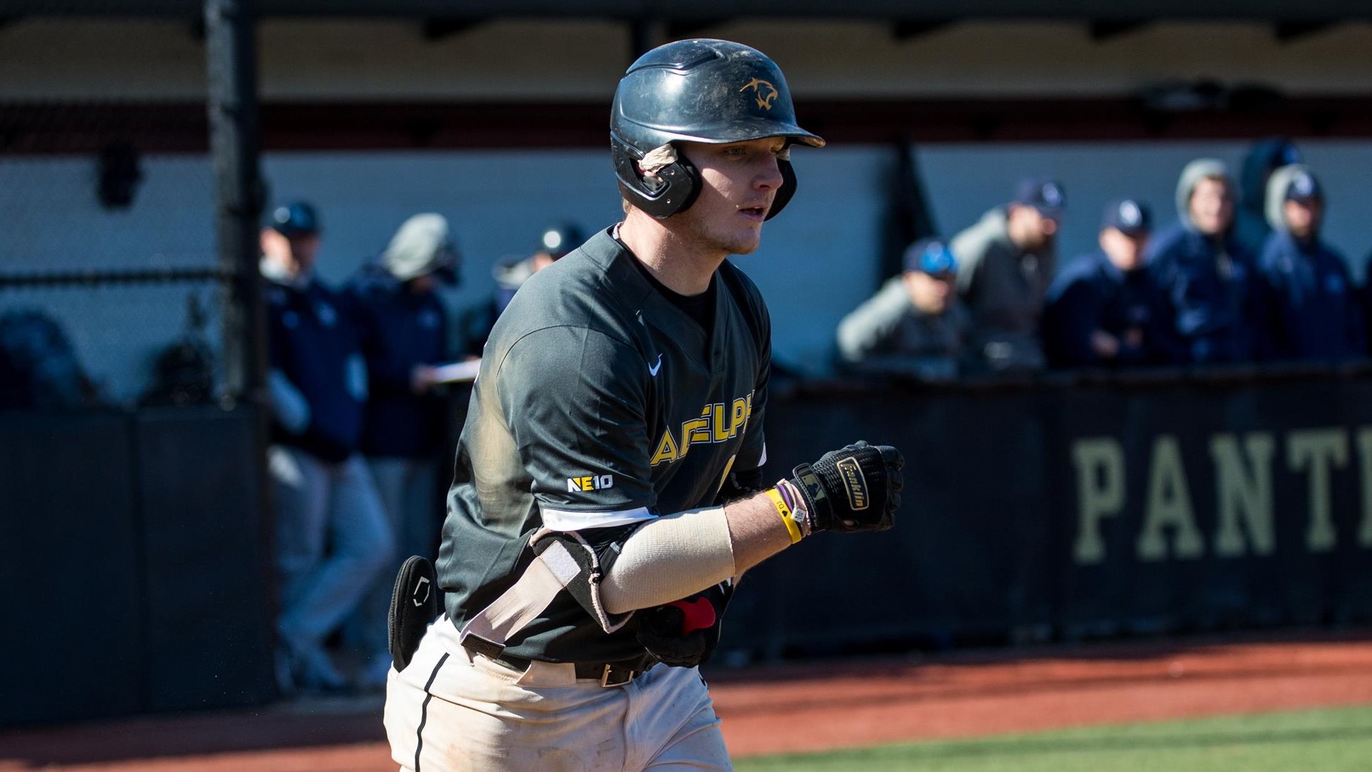 Baseball Rolls in 2022 Conference Opener Versus AIC, 16-4 - Adelphi ...