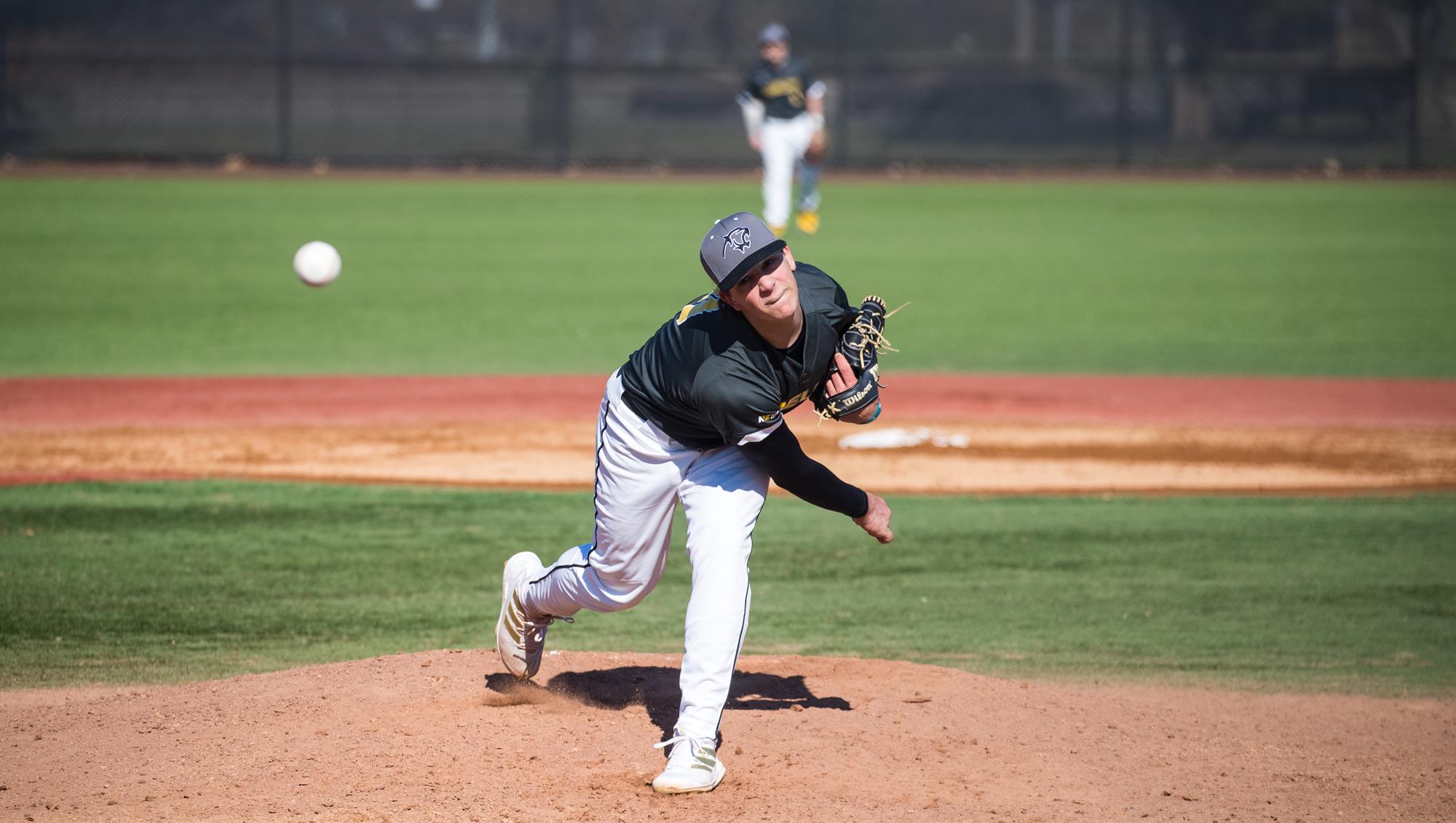 John Rizzo - Baseball - Adelphi University Athletics