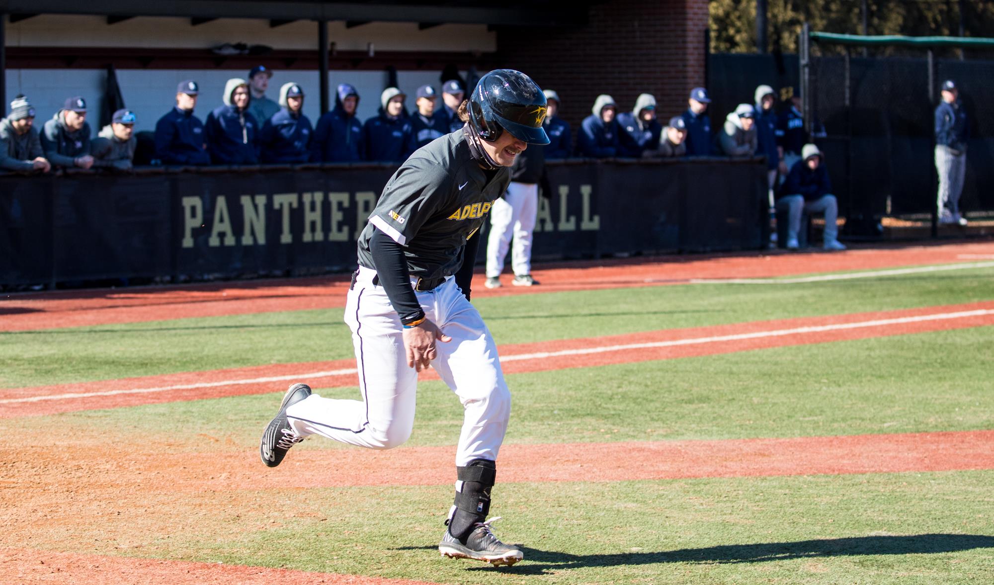 Jack Ryan - Baseball - Adelphi University Athletics