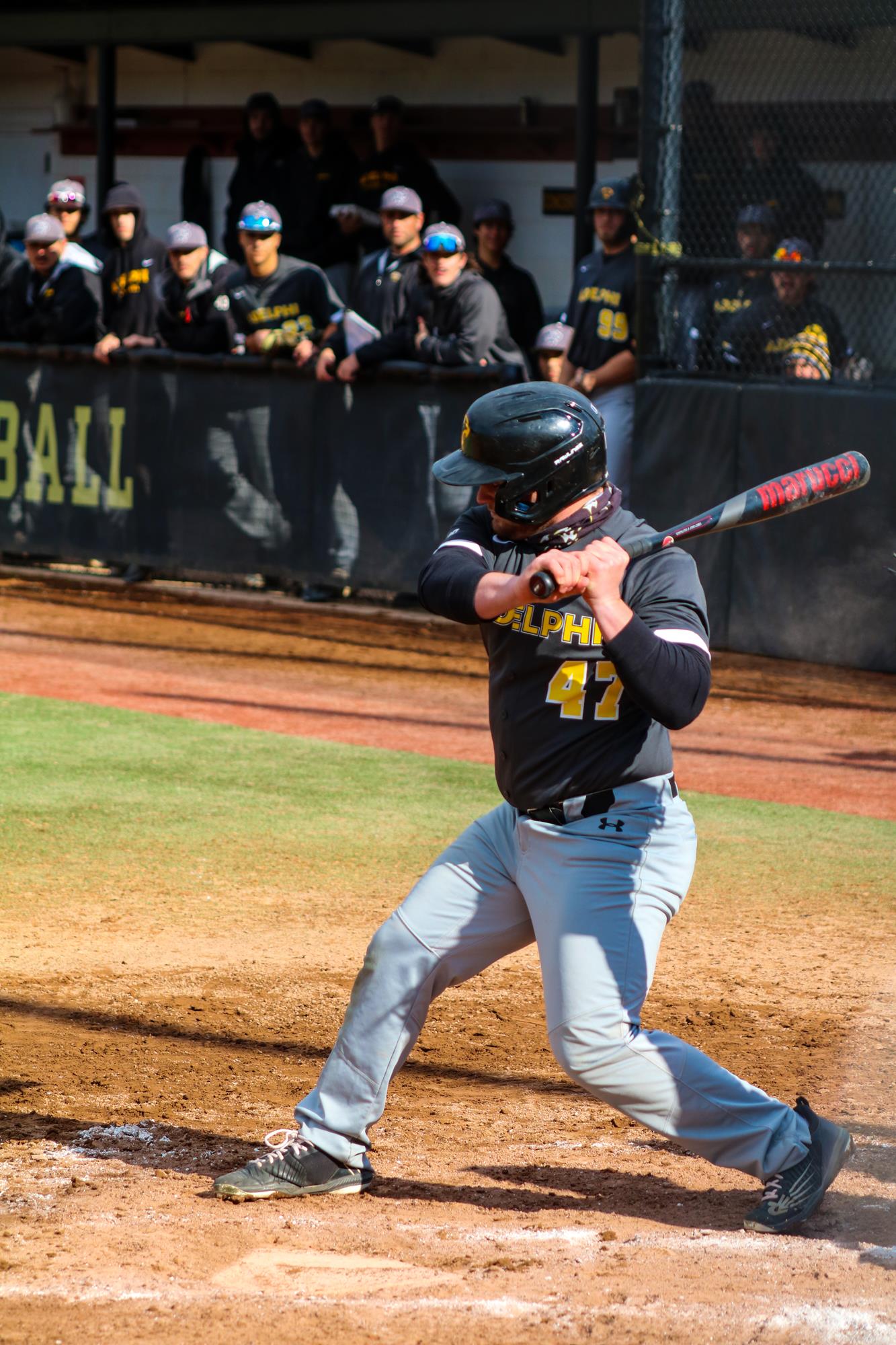 Joe Pasqua - Baseball - Adelphi University Athletics