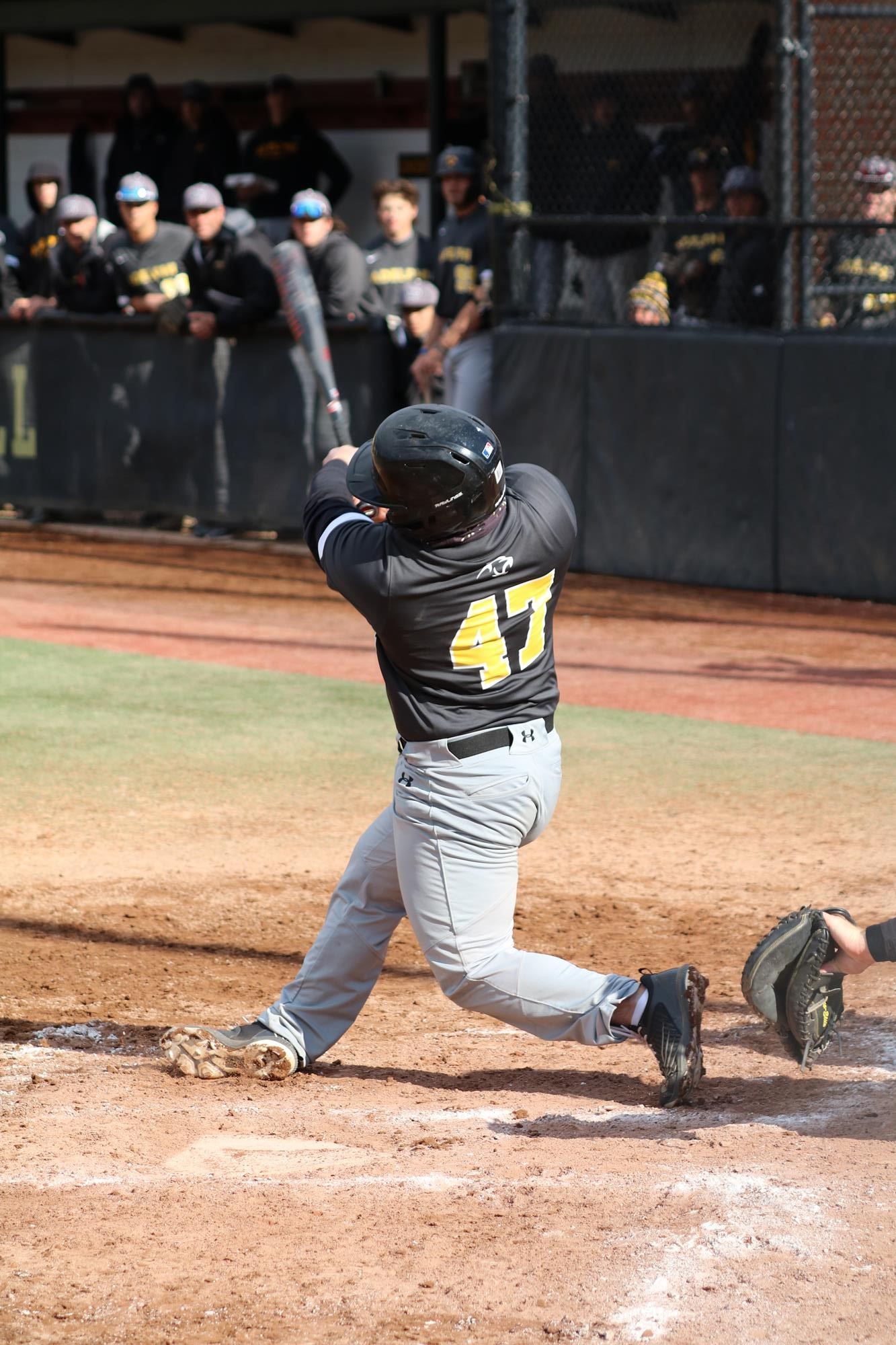 Joe Pasqua - Baseball - Adelphi University Athletics