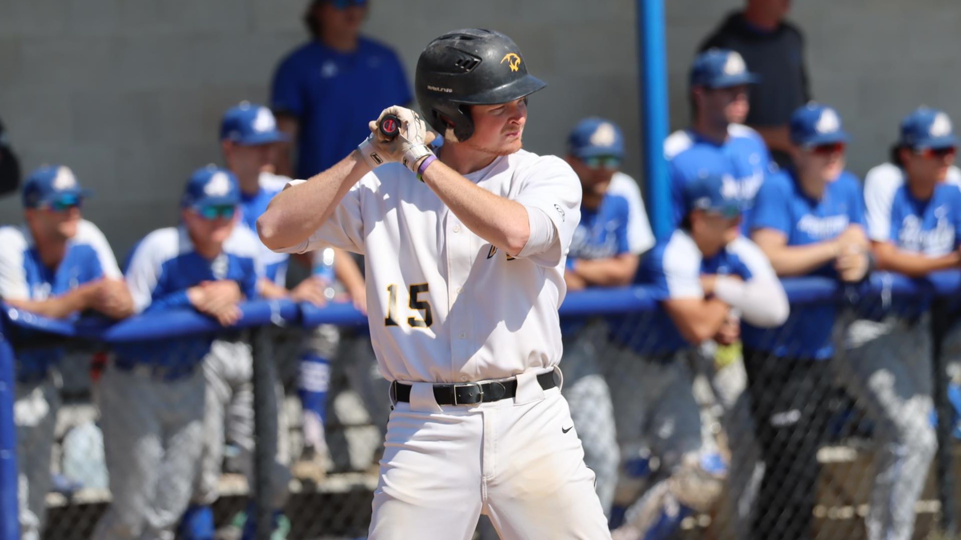 Matt Alifano - Baseball - Adelphi University Athletics