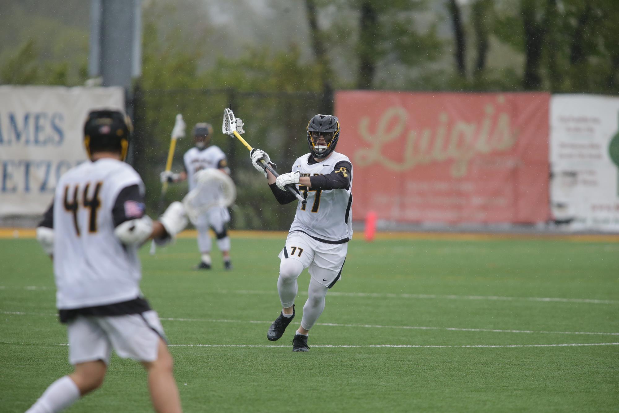 Nick Paris - Men's Lacrosse - Adelphi University Athletics