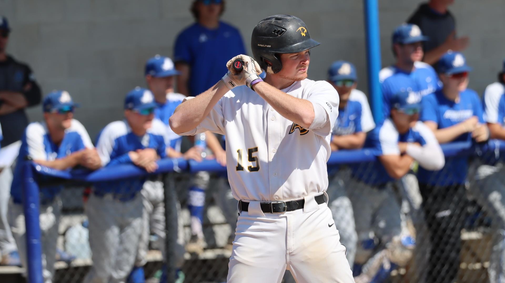 Matt Alifano - Baseball - Adelphi University Athletics