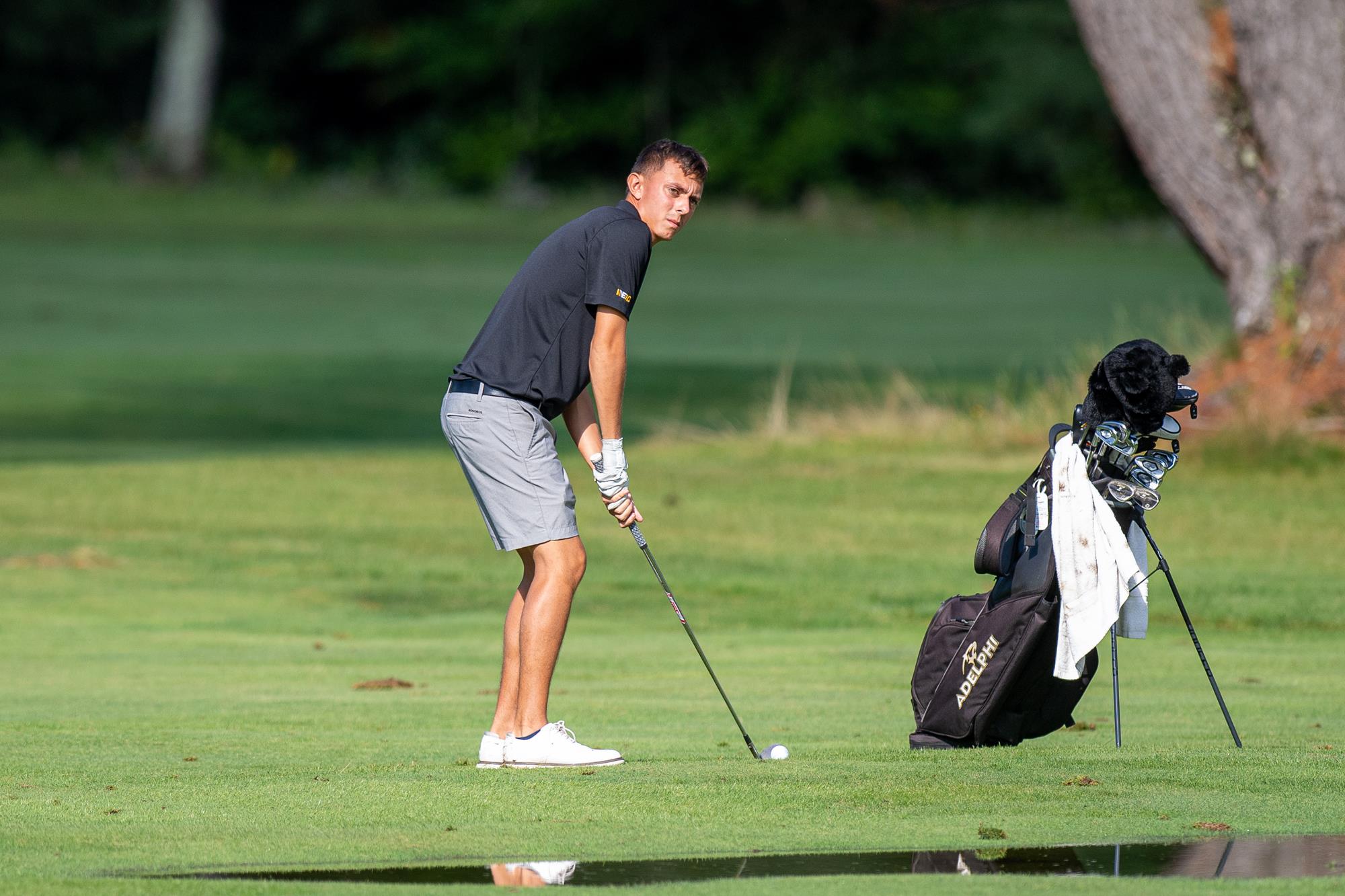 Andrew Brunozzi - Men's Golf - Adelphi University Athletics