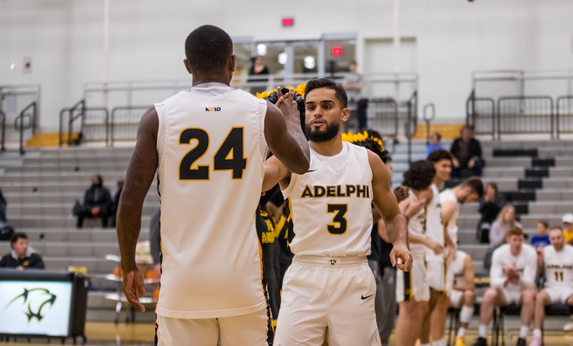 Justin Forest - Men's Basketball - Adelphi University Athletics