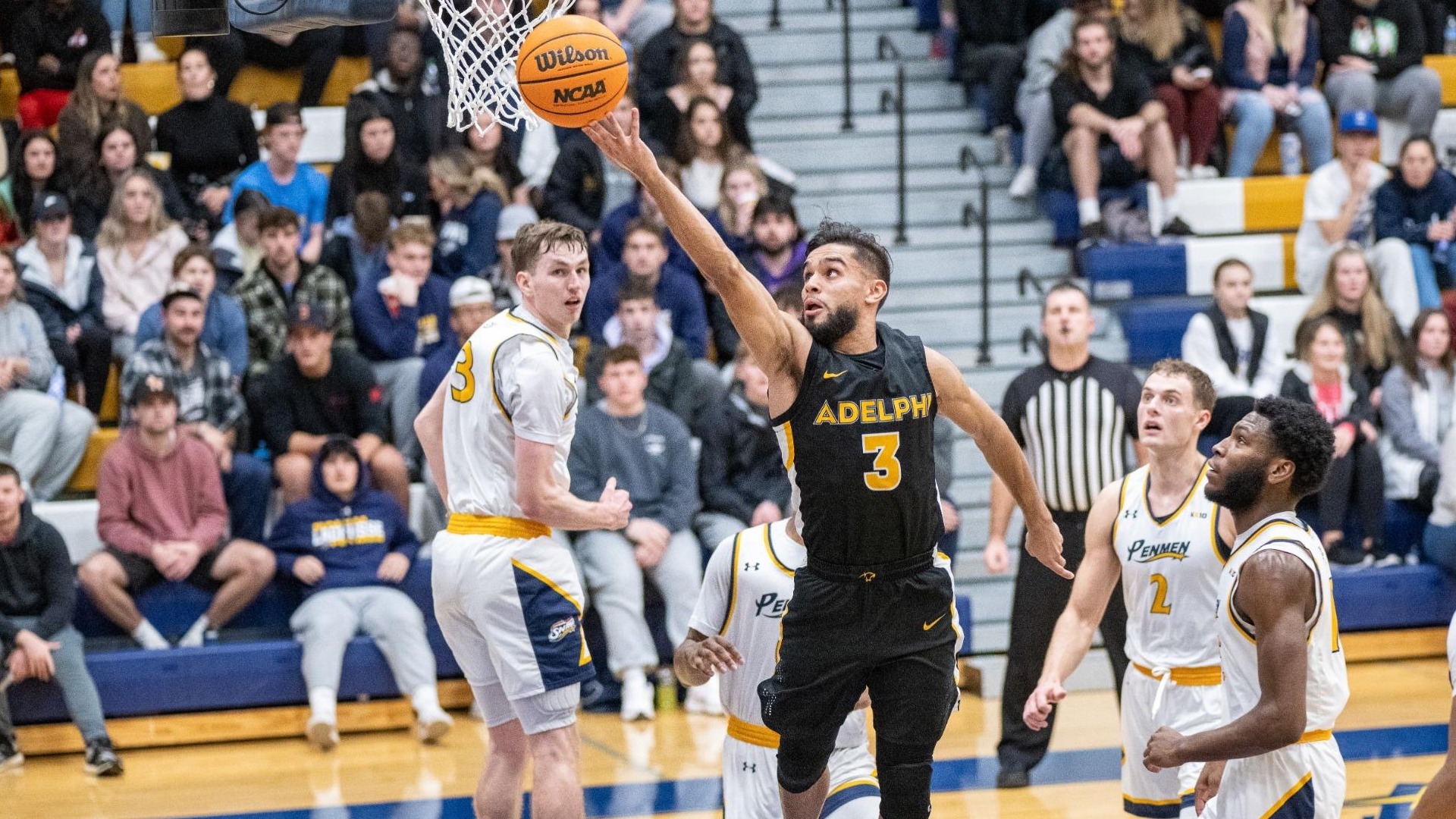Ronnie Silva - Men's Basketball - Adelphi University Athletics