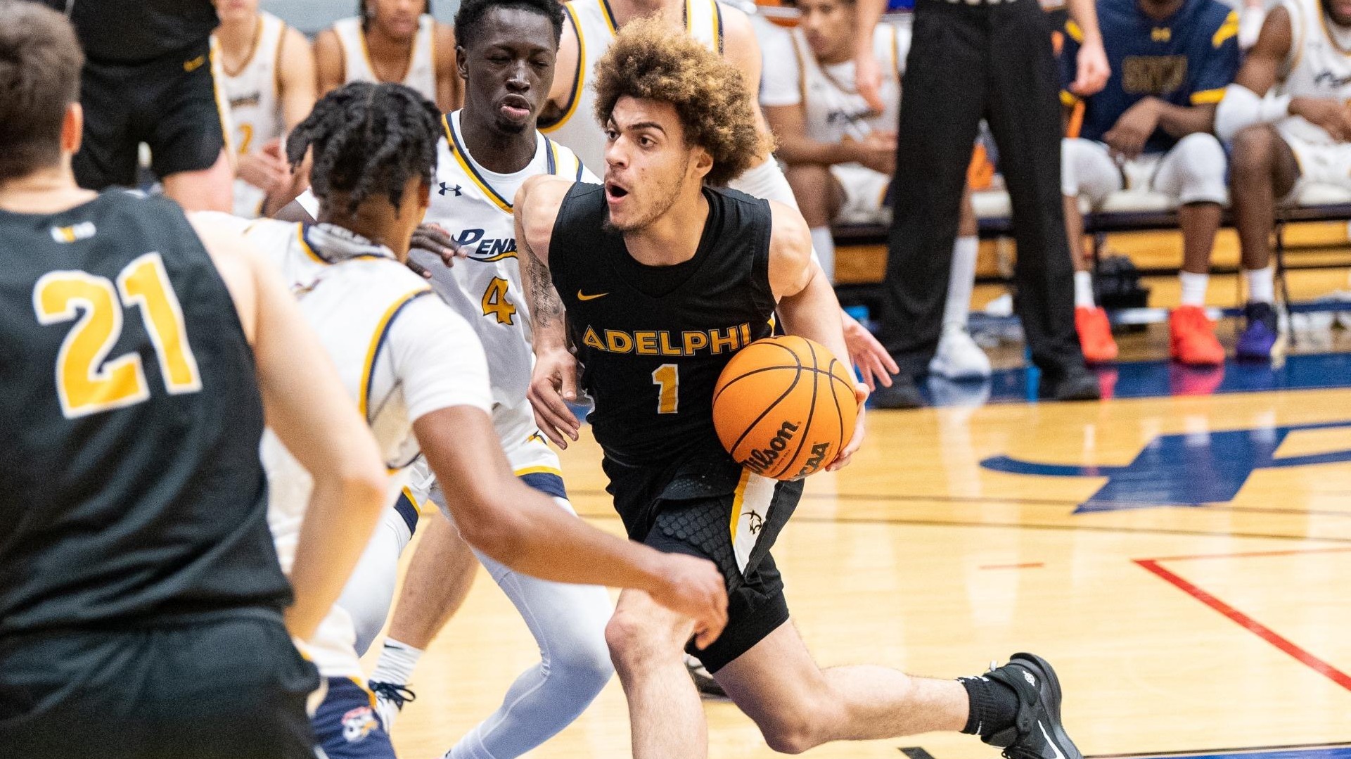 Men's Hoops Rolls in 2023-24 Opener at Molloy, 85-61 - Adelphi ...