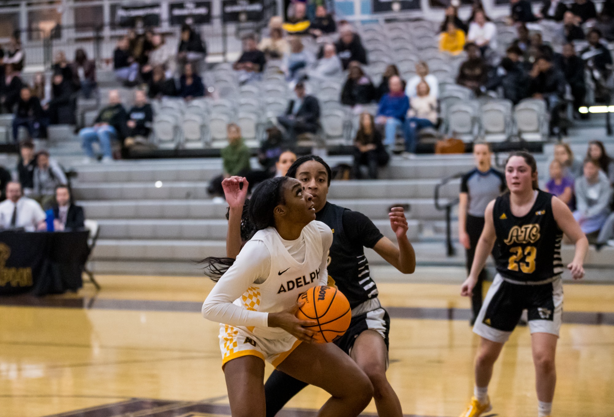Carmen Kweti - Women's Basketball - Adelphi University Athletics