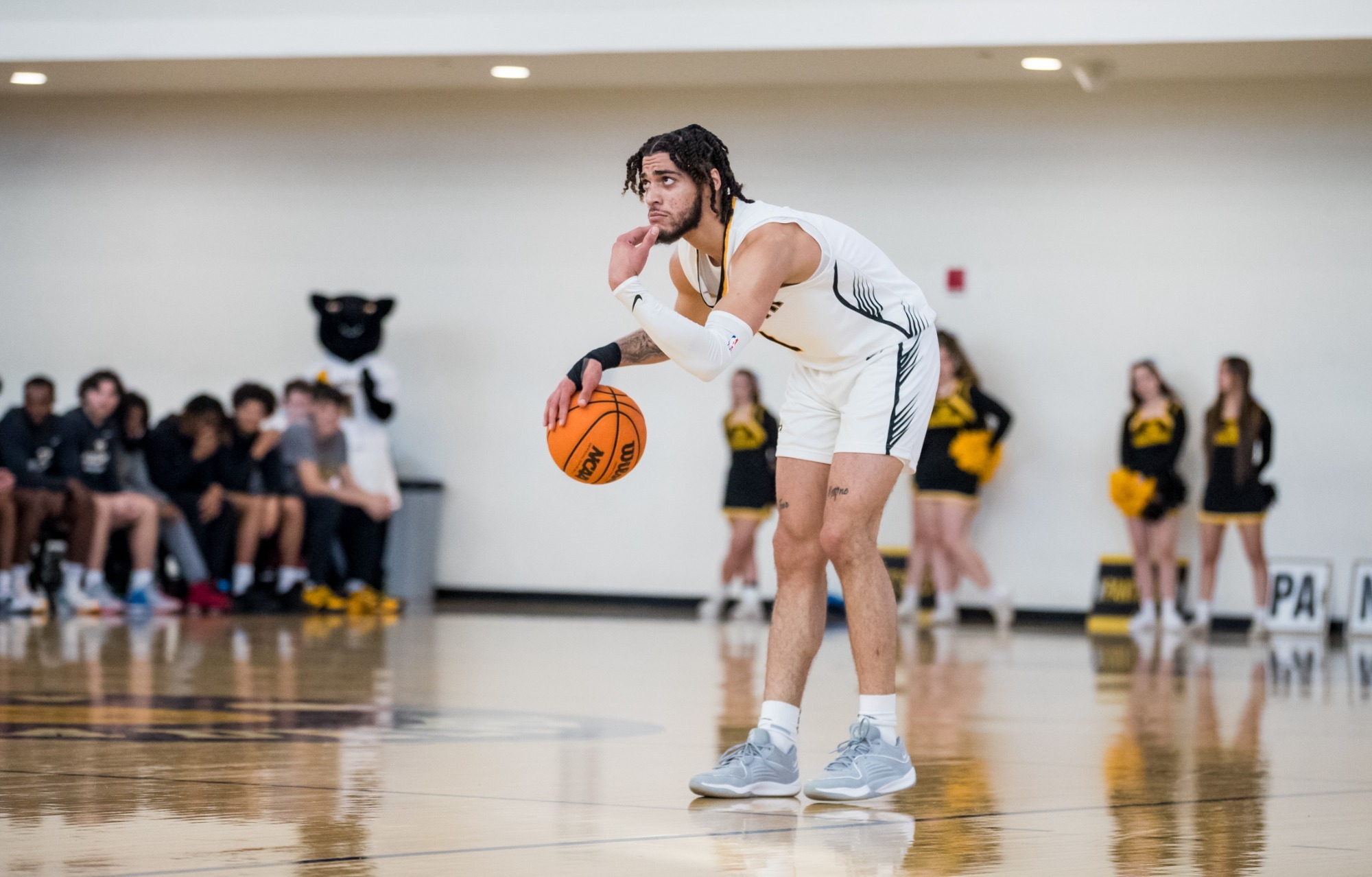 Walton Leads Men's Hoops in 85-78 Victory Over AIC - Adelphi University Athletics
