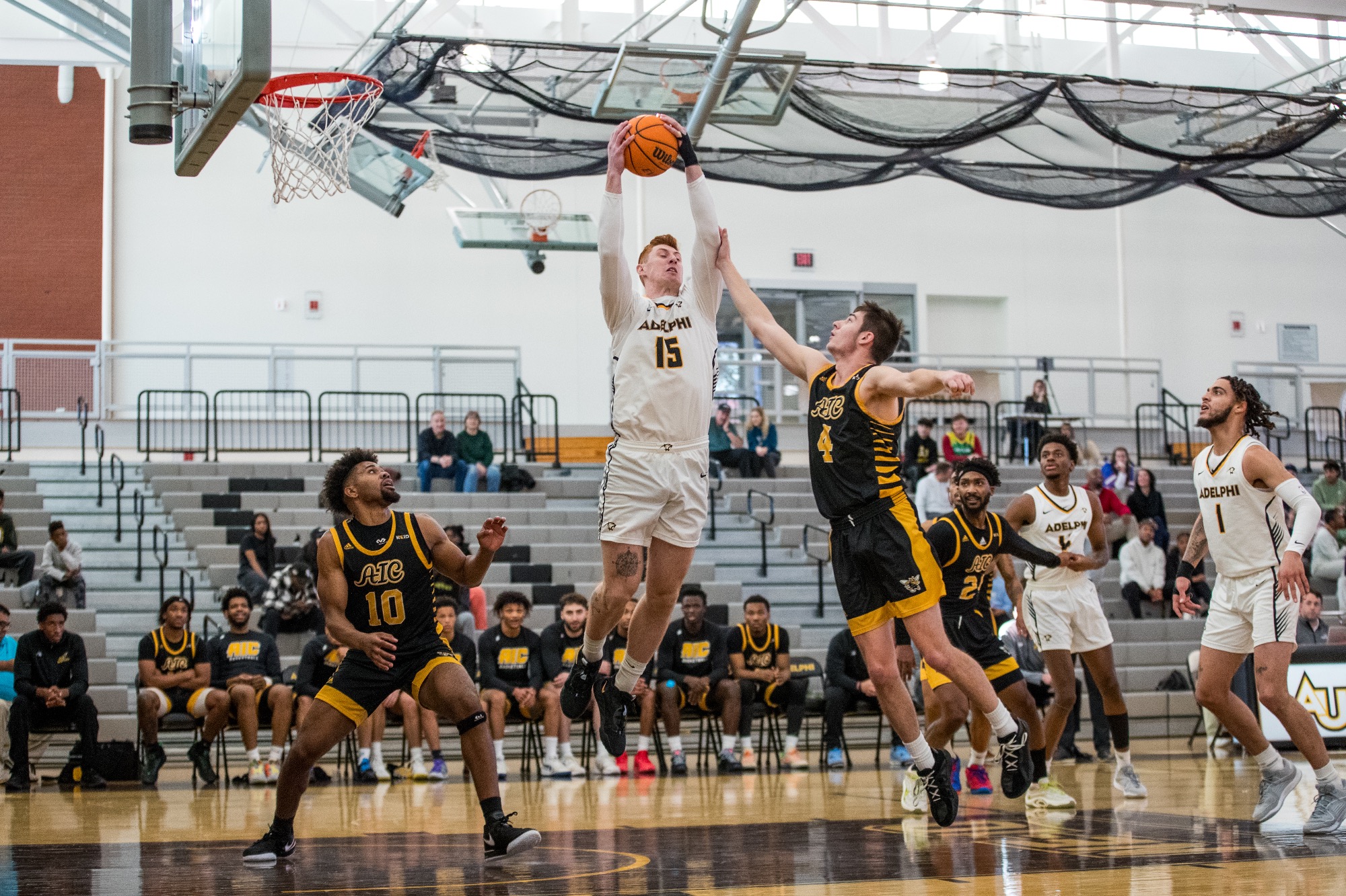 Andrew Delaney - Men's Basketball - Adelphi University Athletics