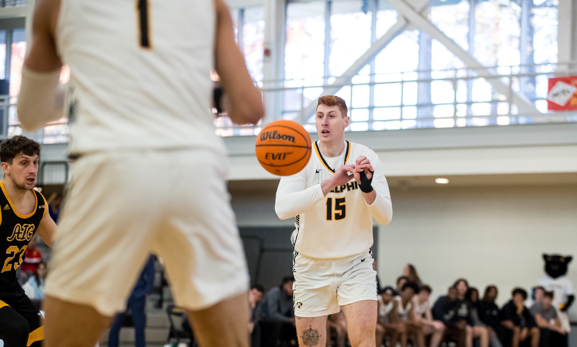 Andrew Delaney - Men's Basketball - Adelphi University Athletics