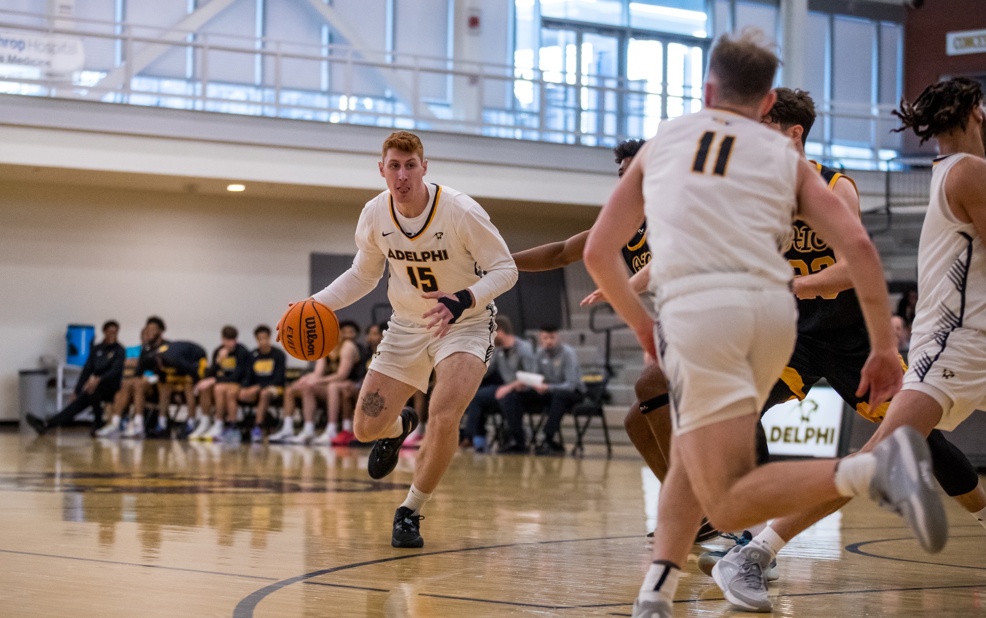 Andrew Delaney - Men's Basketball - Adelphi University Athletics