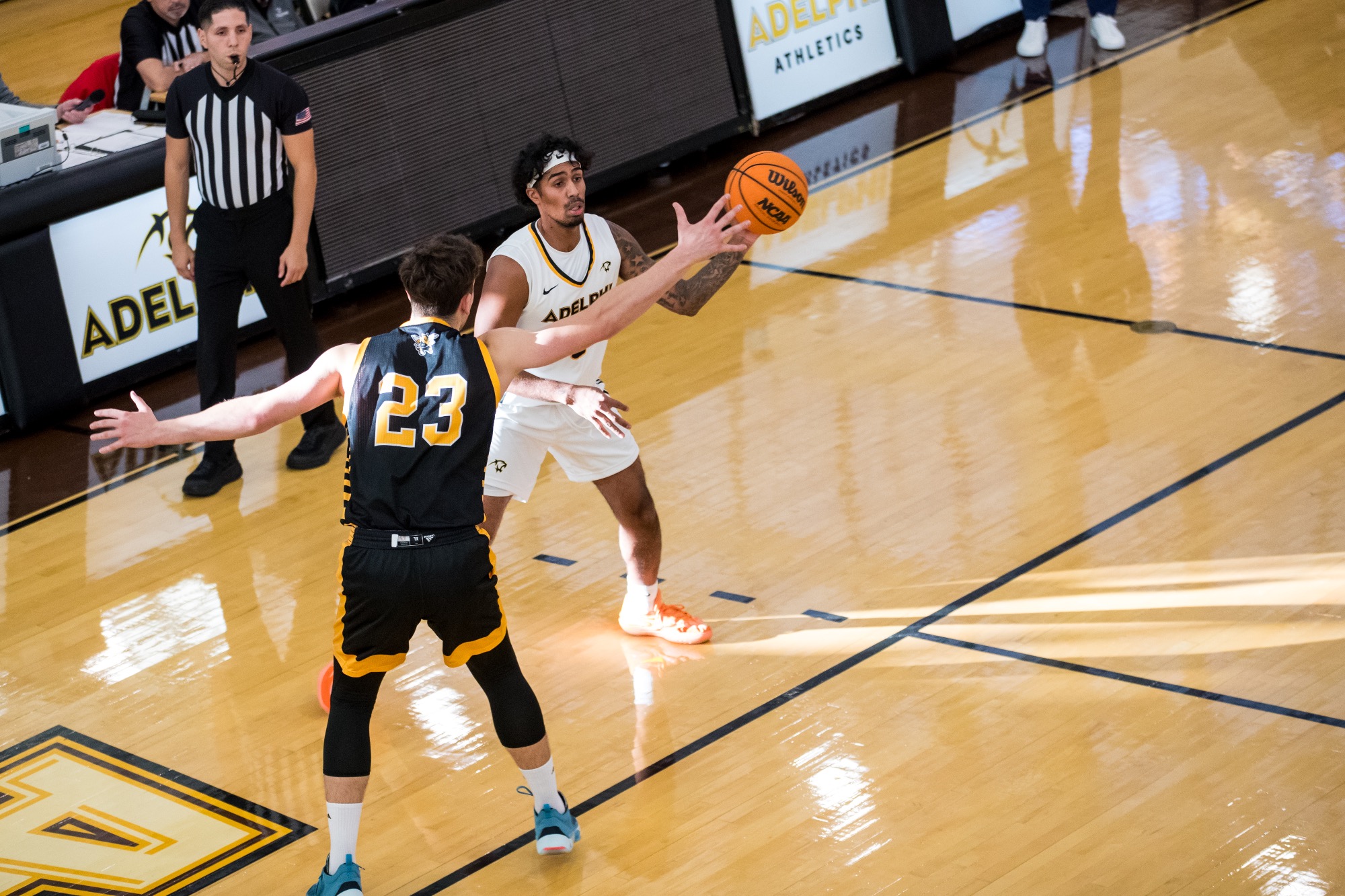Elijah Perry - Men's Basketball - Adelphi University Athletics
