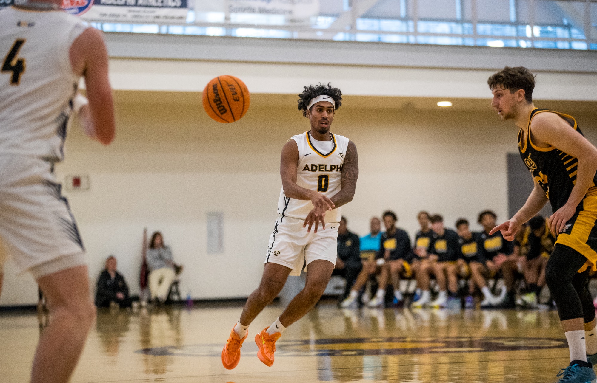 Elijah Perry - Men's Basketball - Adelphi University Athletics