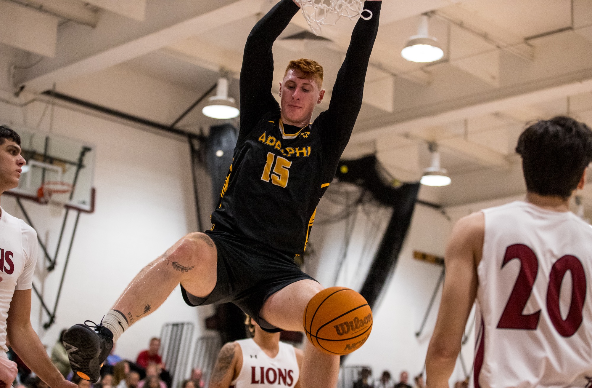 Andrew Delaney - Men's Basketball - Adelphi University Athletics