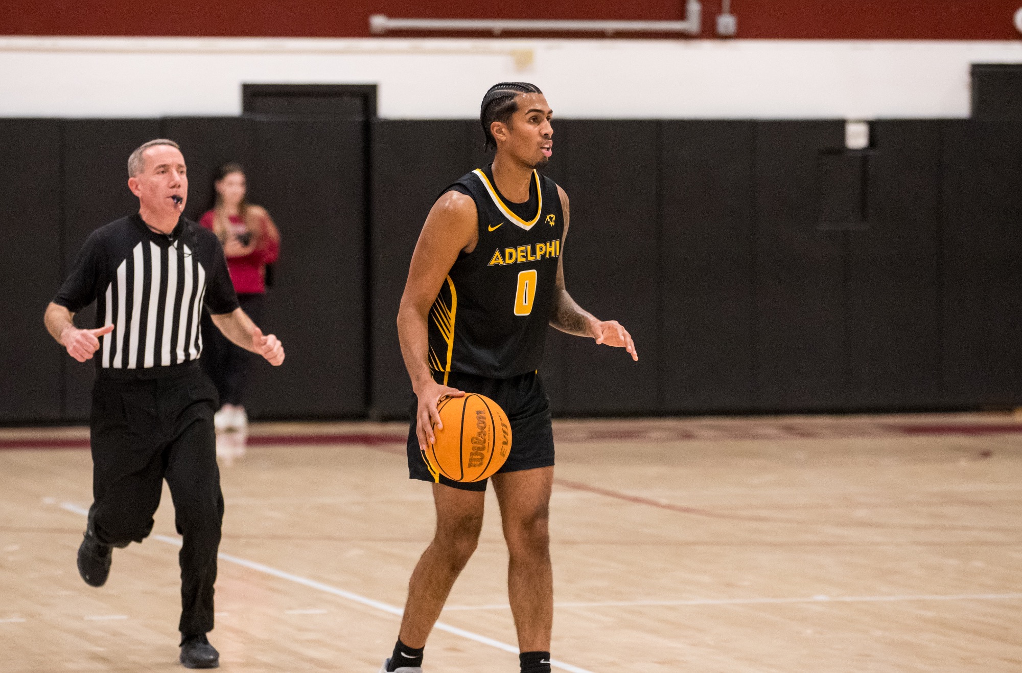 Elijah Perry - Men's Basketball - Adelphi University Athletics
