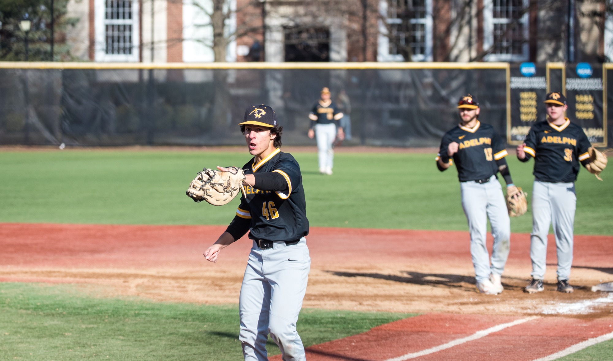 Michael Draskin - Baseball - Adelphi University Athletics