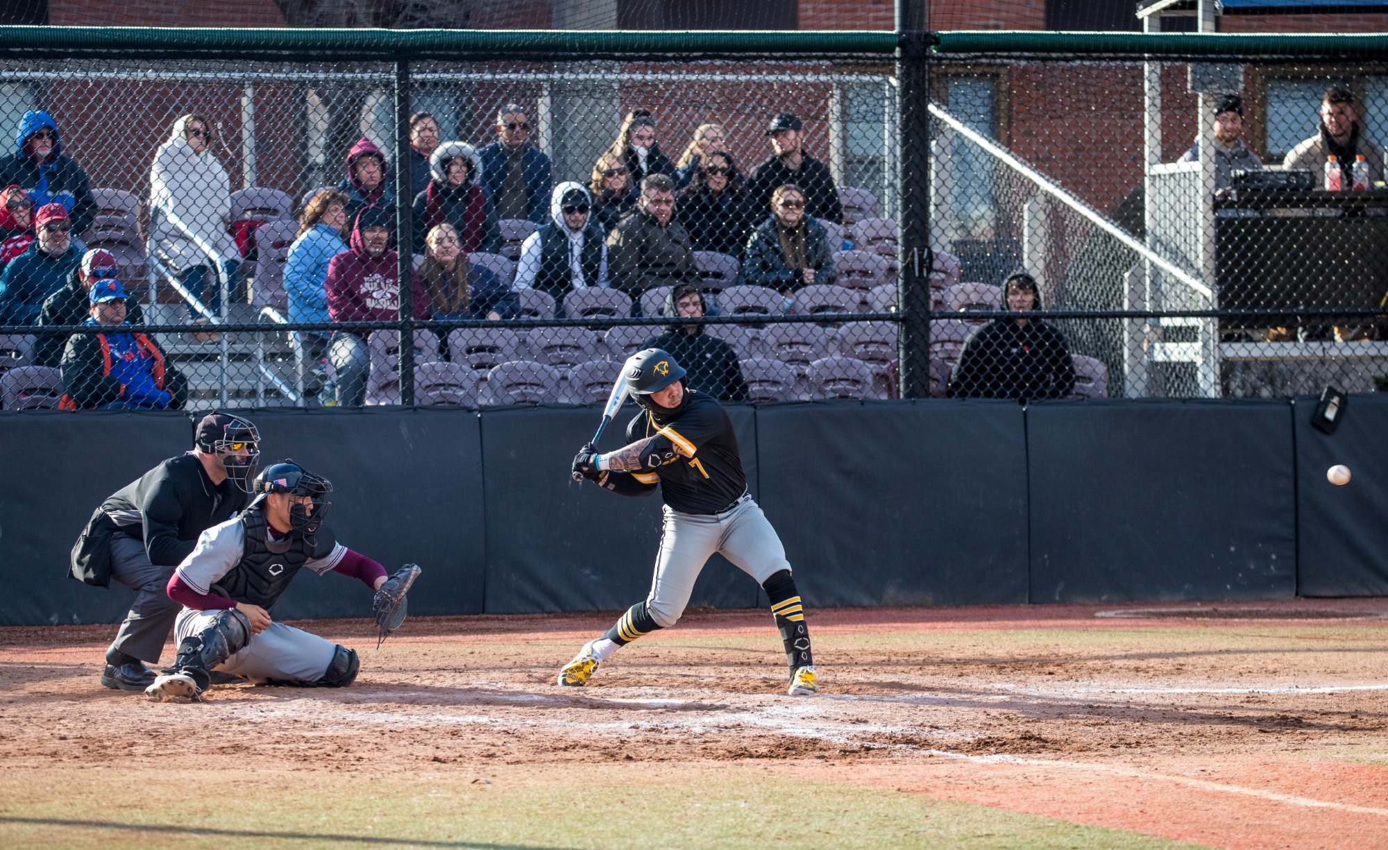Cooper Johnson - Baseball - Adelphi University Athletics