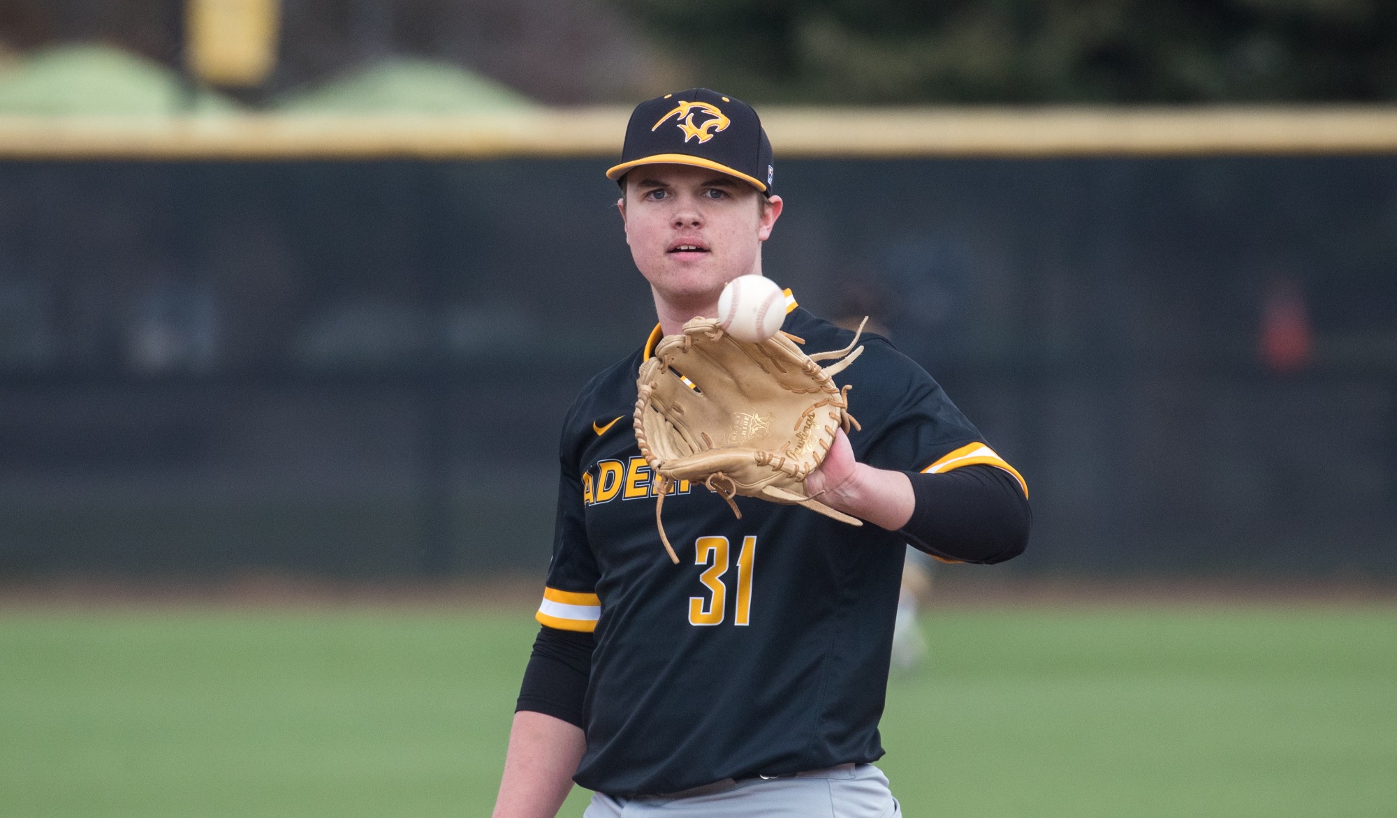 Brendan Kenneally - Baseball - Adelphi University Athletics
