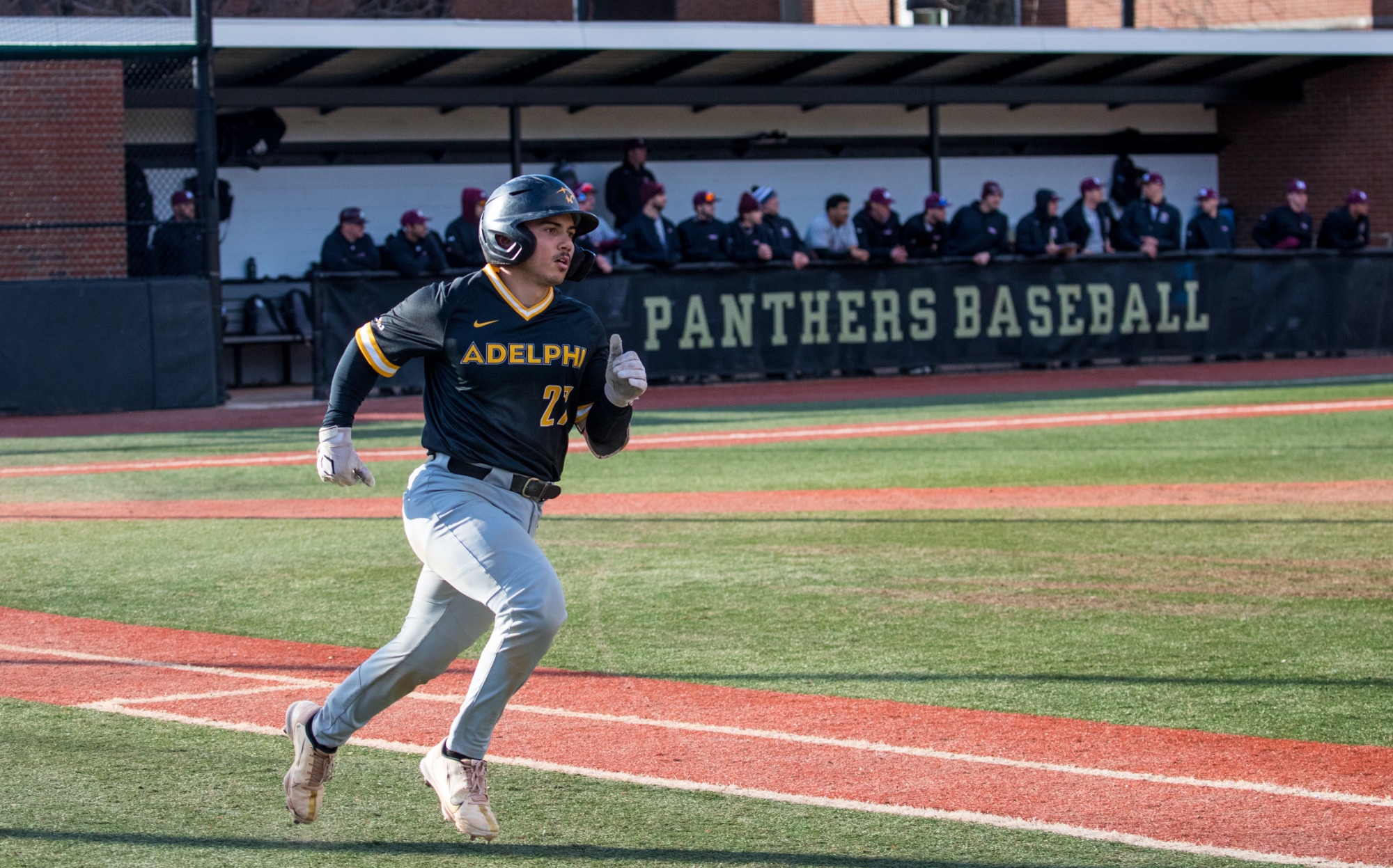 Jose Matos - Baseball - Adelphi University Athletics