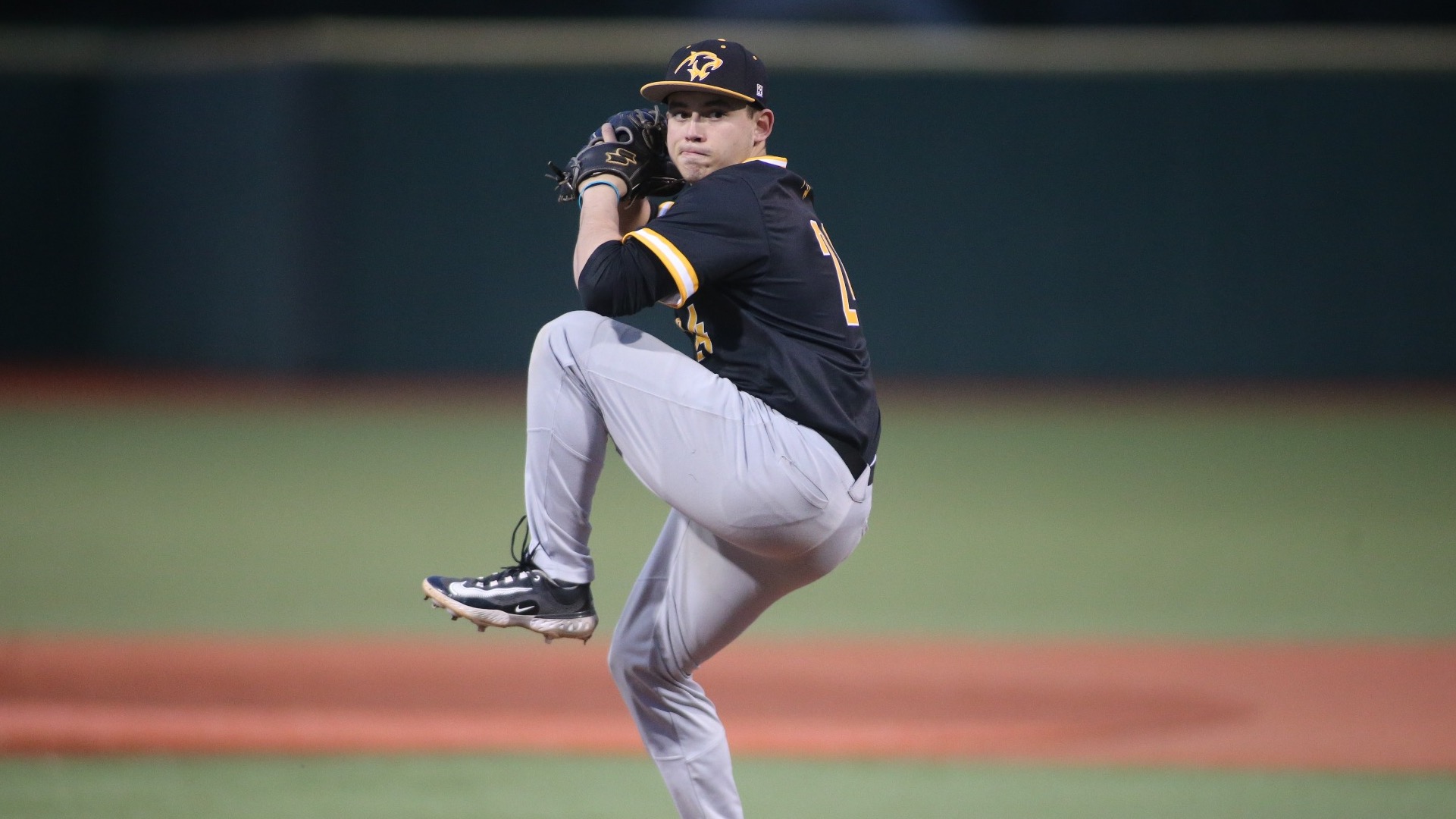 Jacob Pedersen - Baseball - Adelphi University Athletics