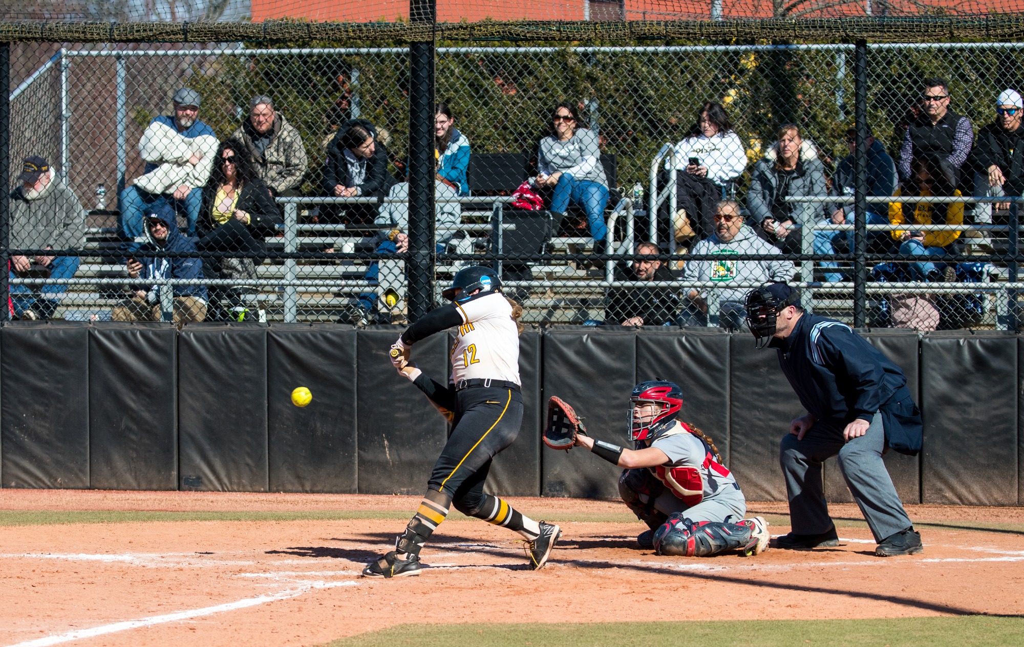 Faith Camilleri - Softball - Adelphi University Athletics