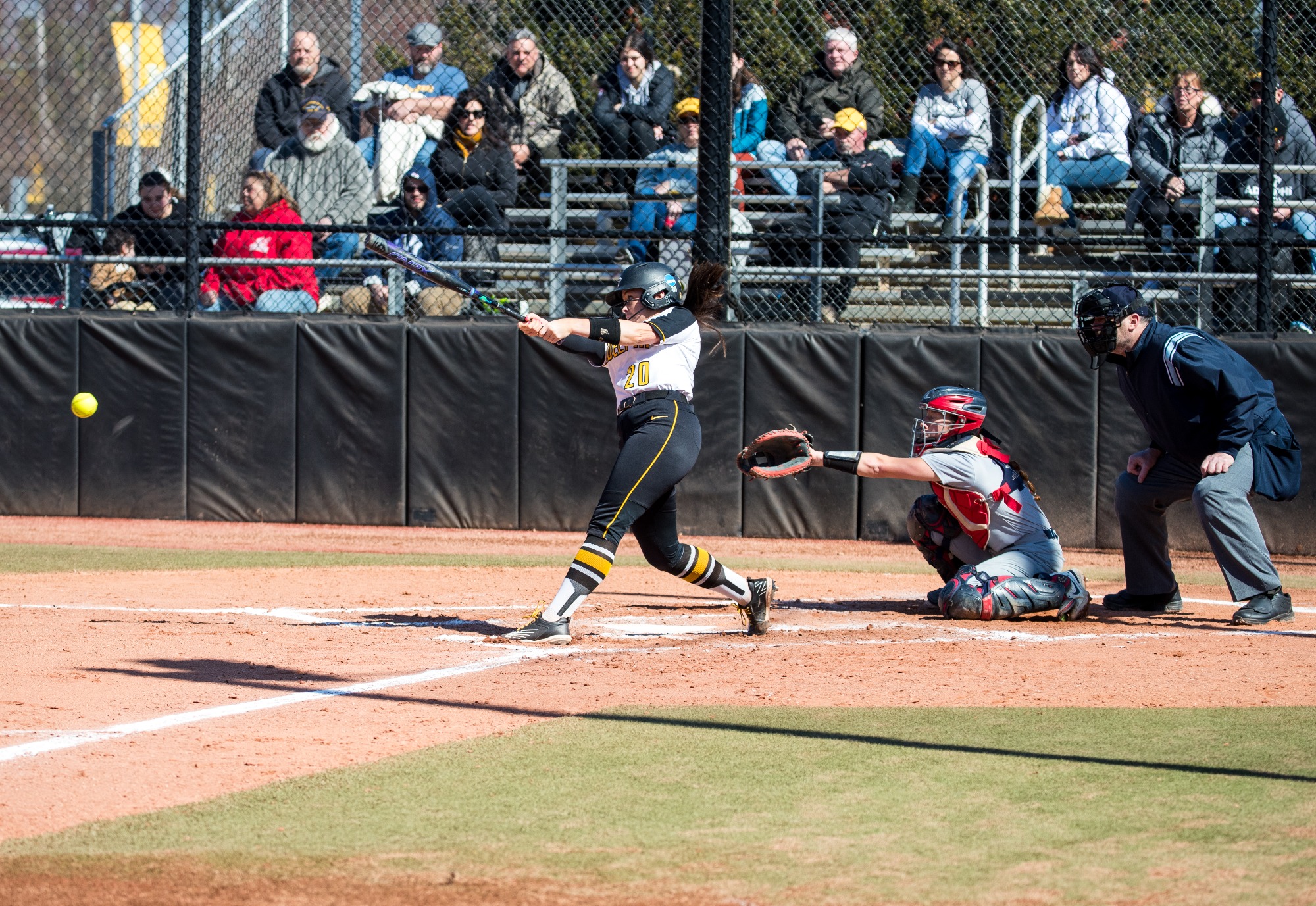 Tierney Fitzgerald - Softball - Adelphi University Athletics