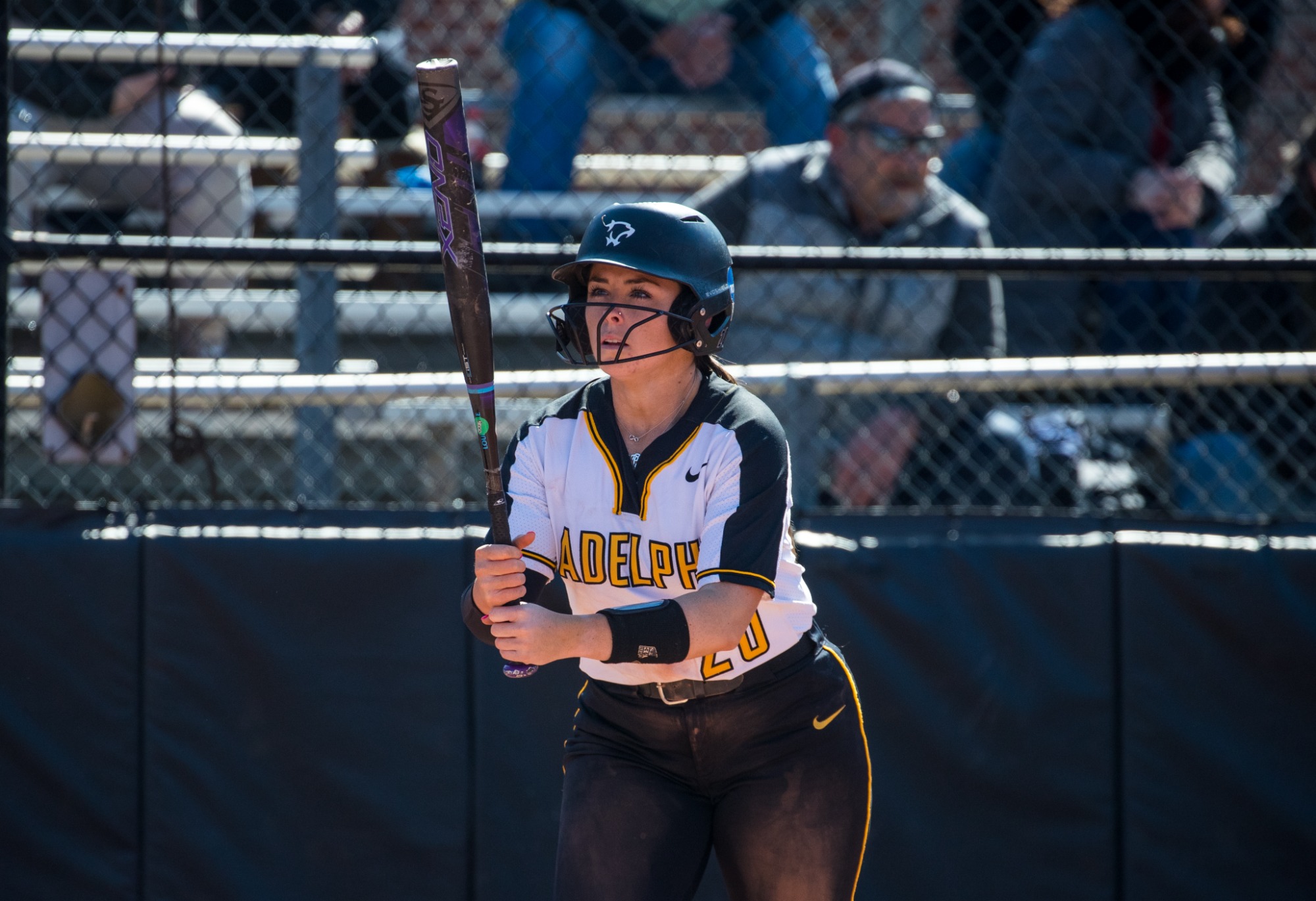 Tierney Fitzgerald - Softball - Adelphi University Athletics