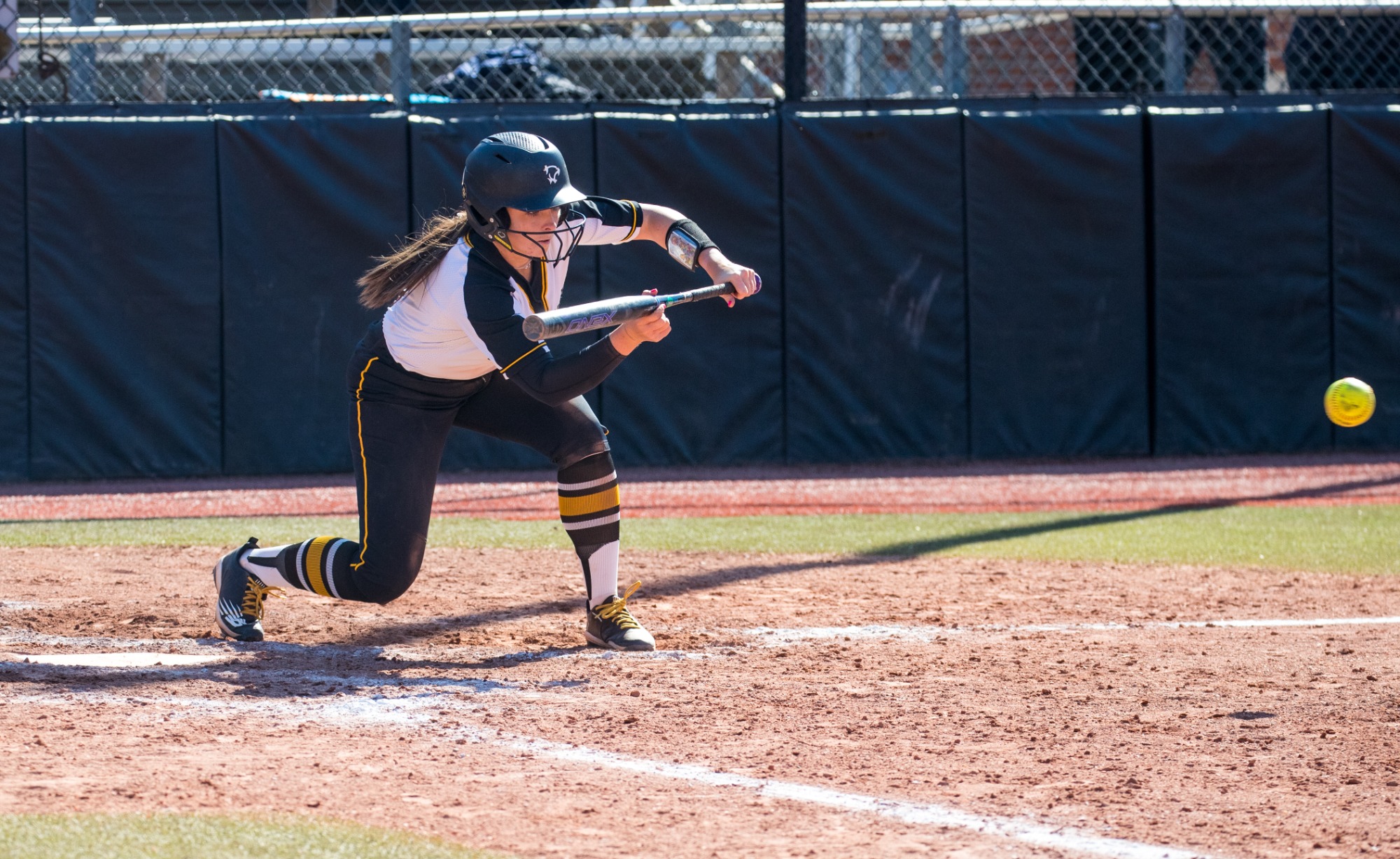 Tierney Fitzgerald - Softball - Adelphi University Athletics