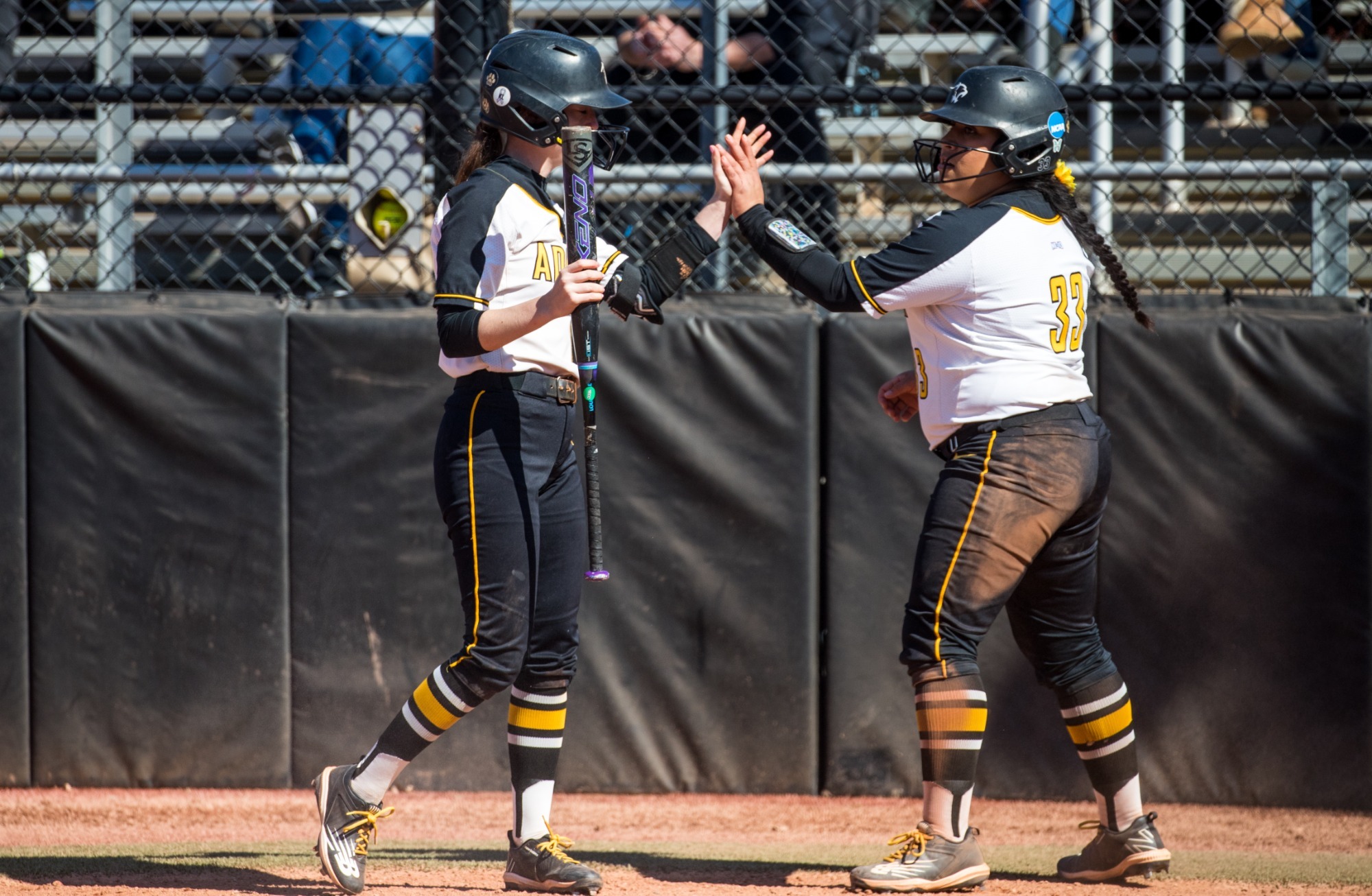 Amanda Owens - Softball - Adelphi University Athletics