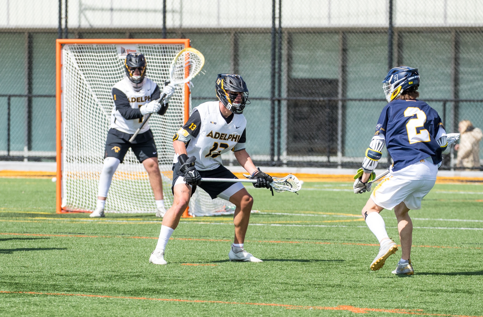 Matt Greaves - Men's Lacrosse - Adelphi University Athletics