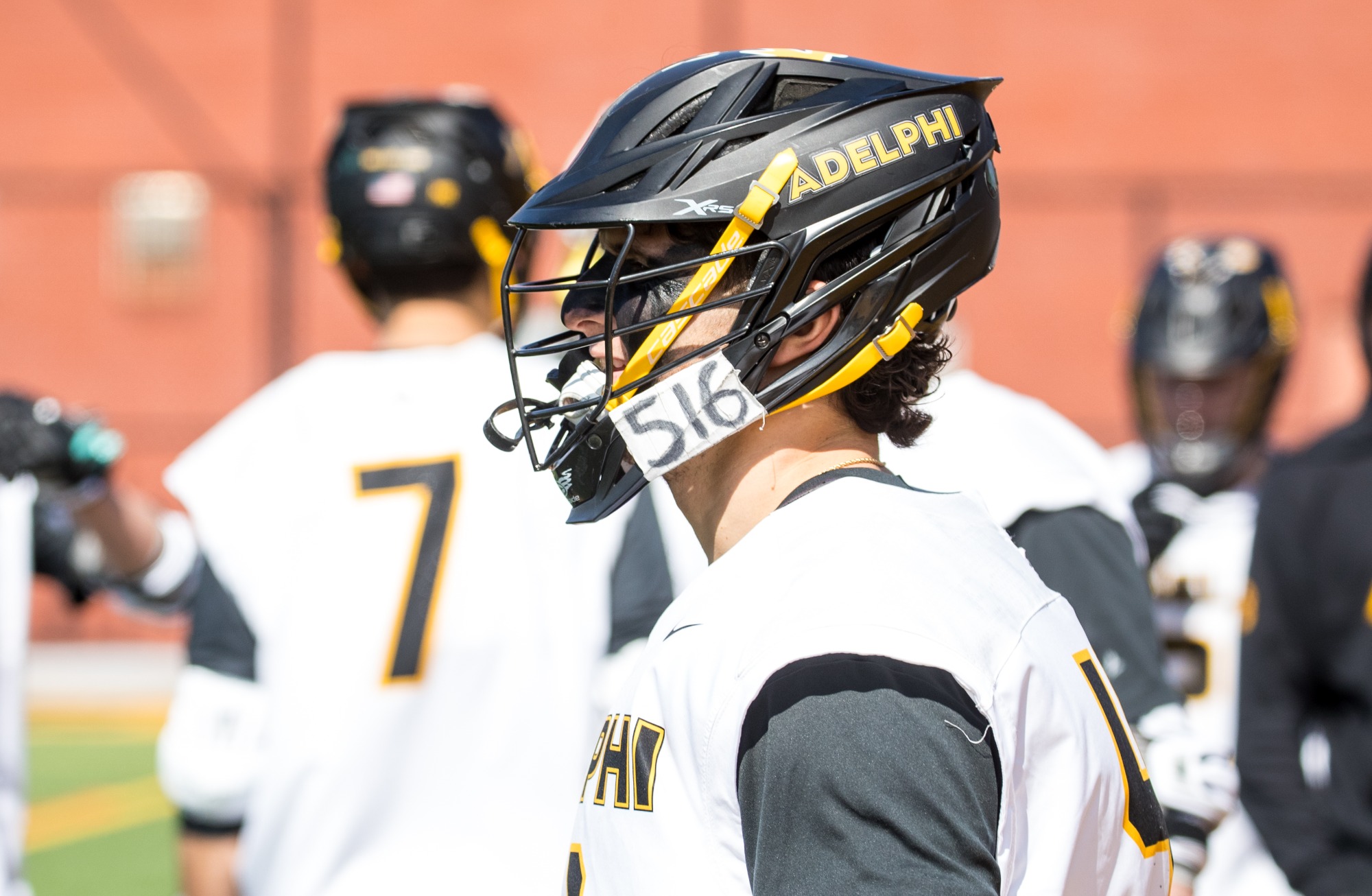 David Sanzone - Men's Lacrosse - Adelphi University Athletics
