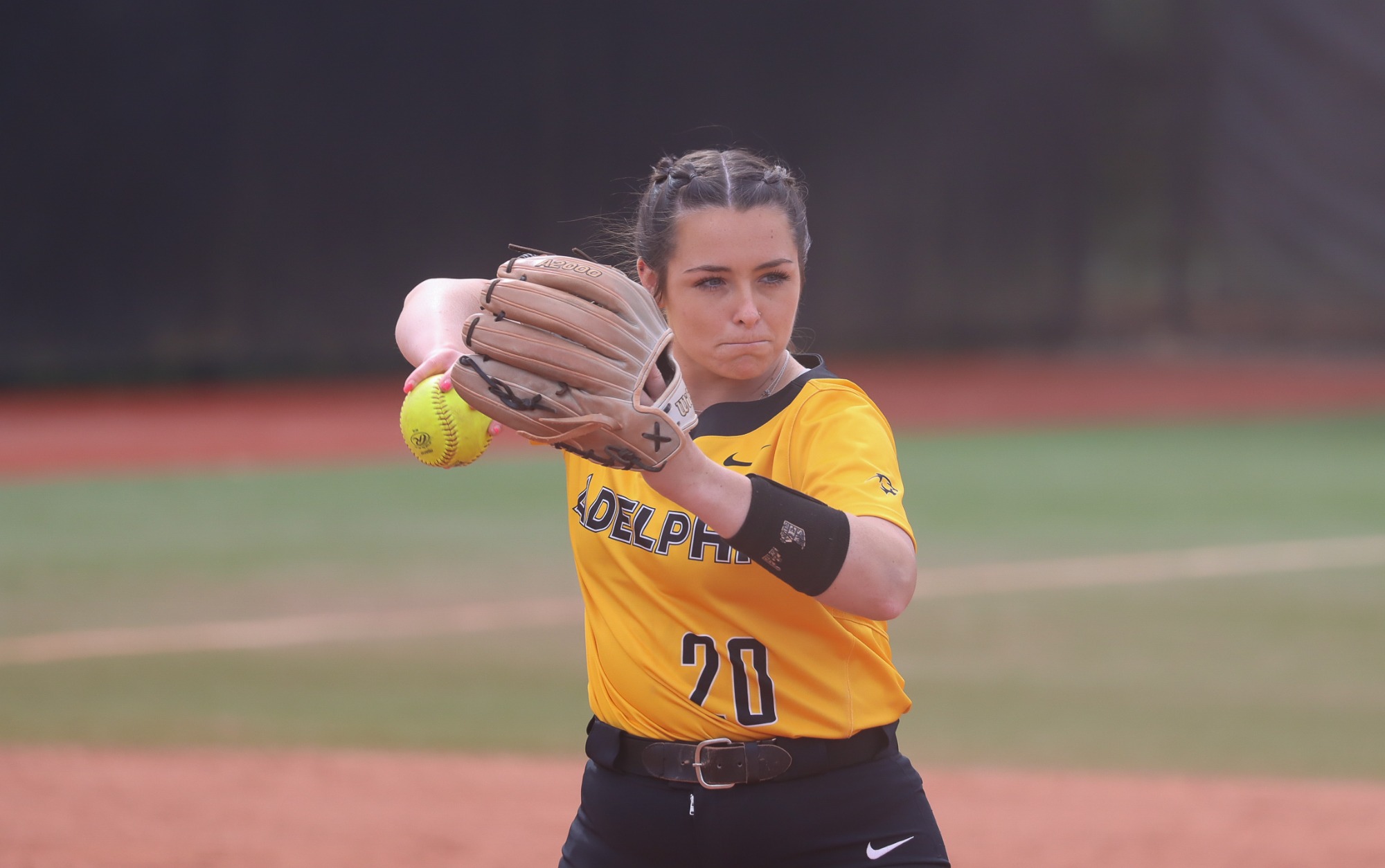 Tierney Fitzgerald - Softball - Adelphi University Athletics