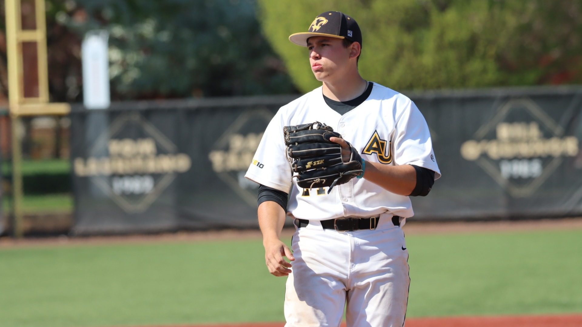 Jacob Pedersen - Baseball - Adelphi University Athletics