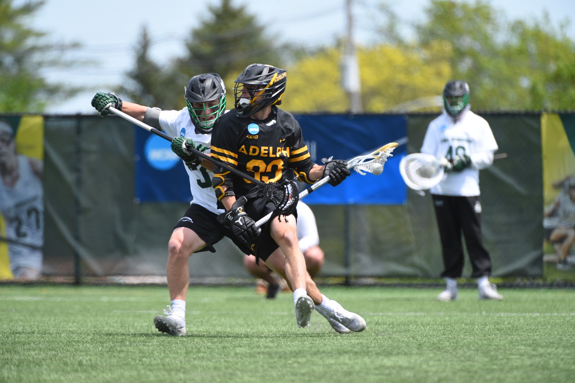 Joseph Duchnowski - Men's Lacrosse - Adelphi University Athletics