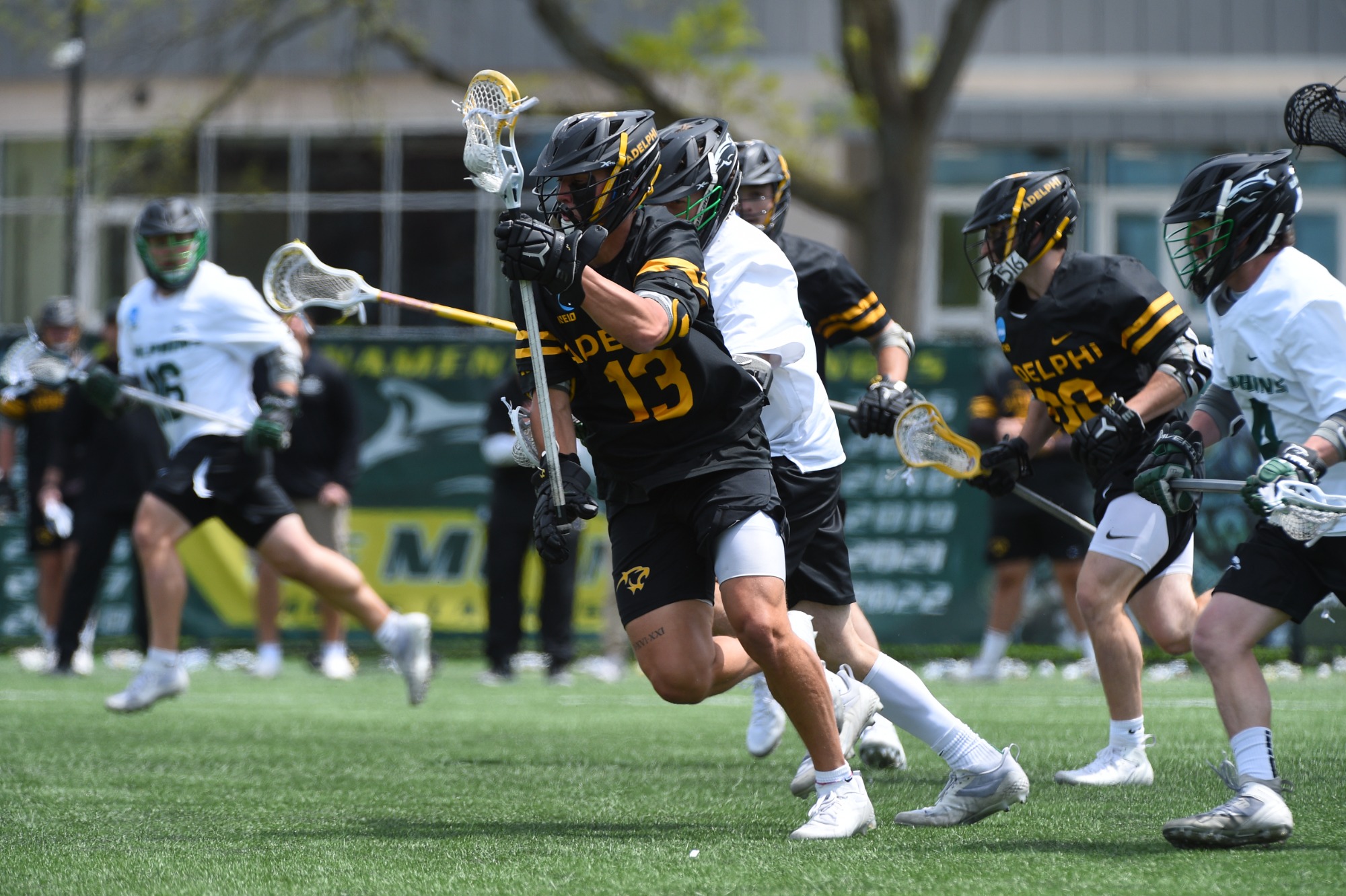 Matt Greaves - Men's Lacrosse - Adelphi University Athletics