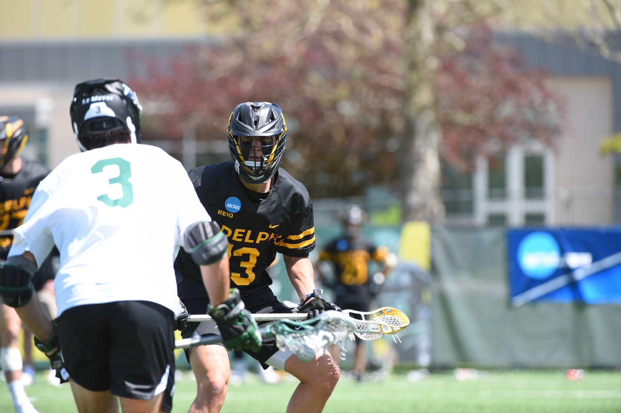 Matt Greaves - Men's Lacrosse - Adelphi University Athletics