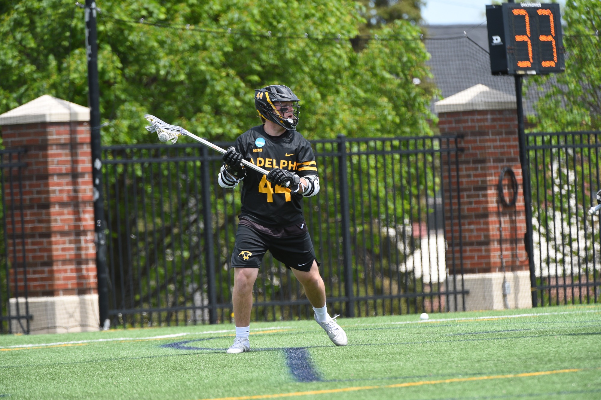 Logan Tucker - Men's Lacrosse - Adelphi University Athletics