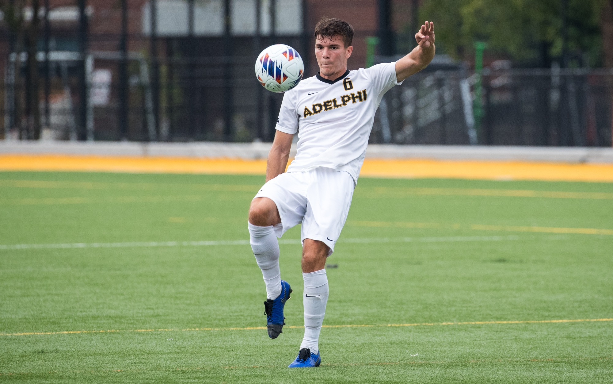 Adis Kolenovic - Men's Soccer - Adelphi University Athletics