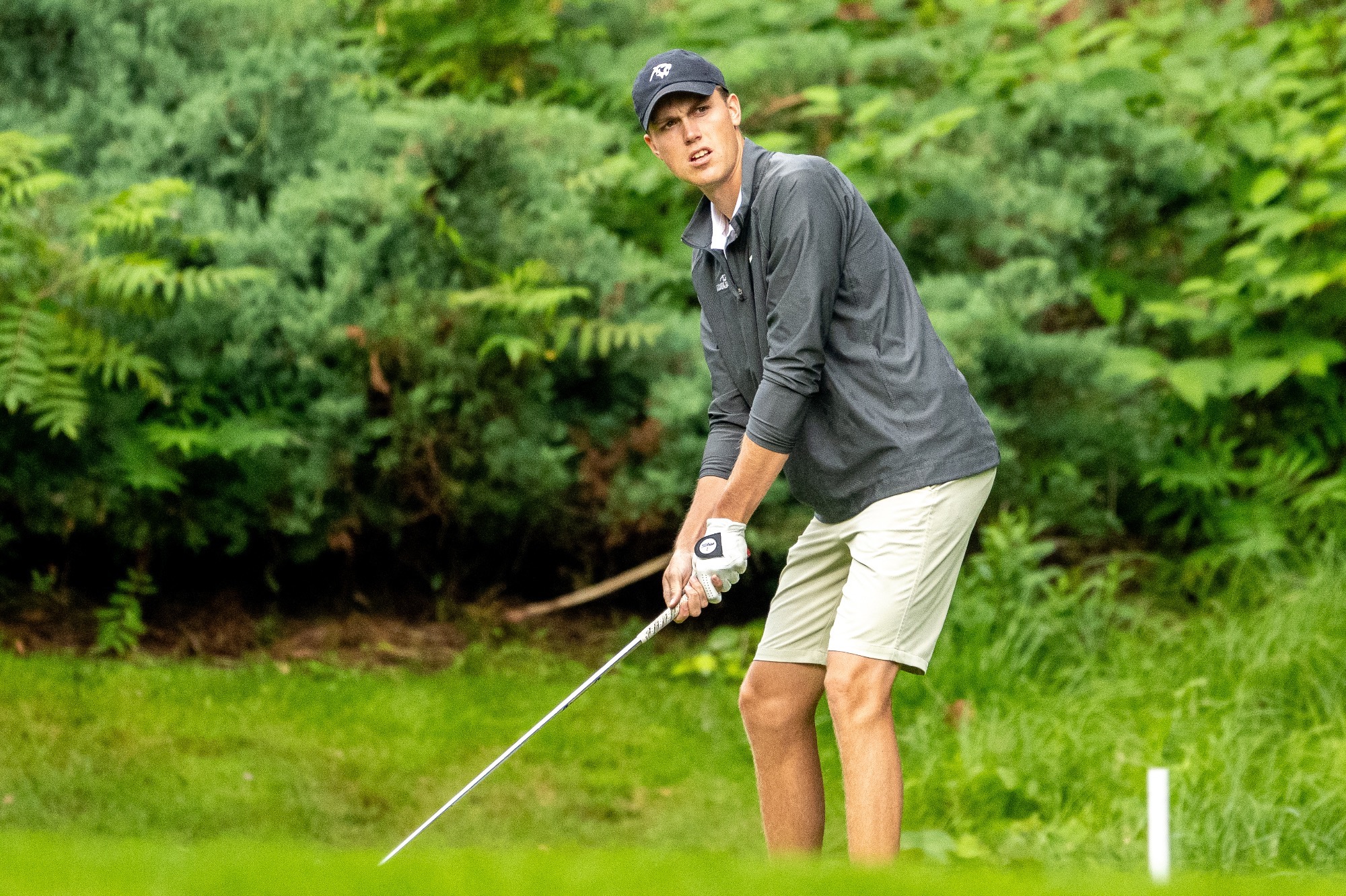 Filip Wetterqvist - Men's Golf - Adelphi University Athletics
