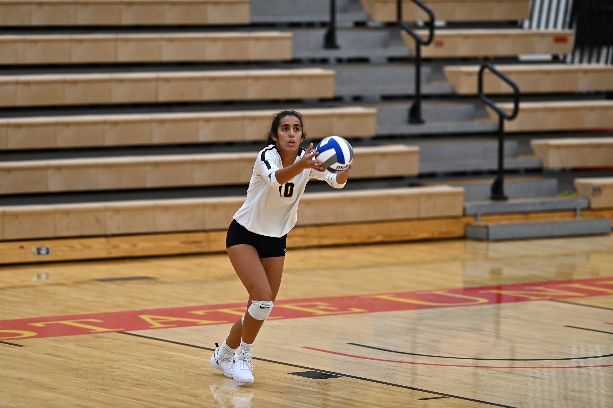 Sofia Pinzon - Women's Volleyball - Adelphi University Athletics