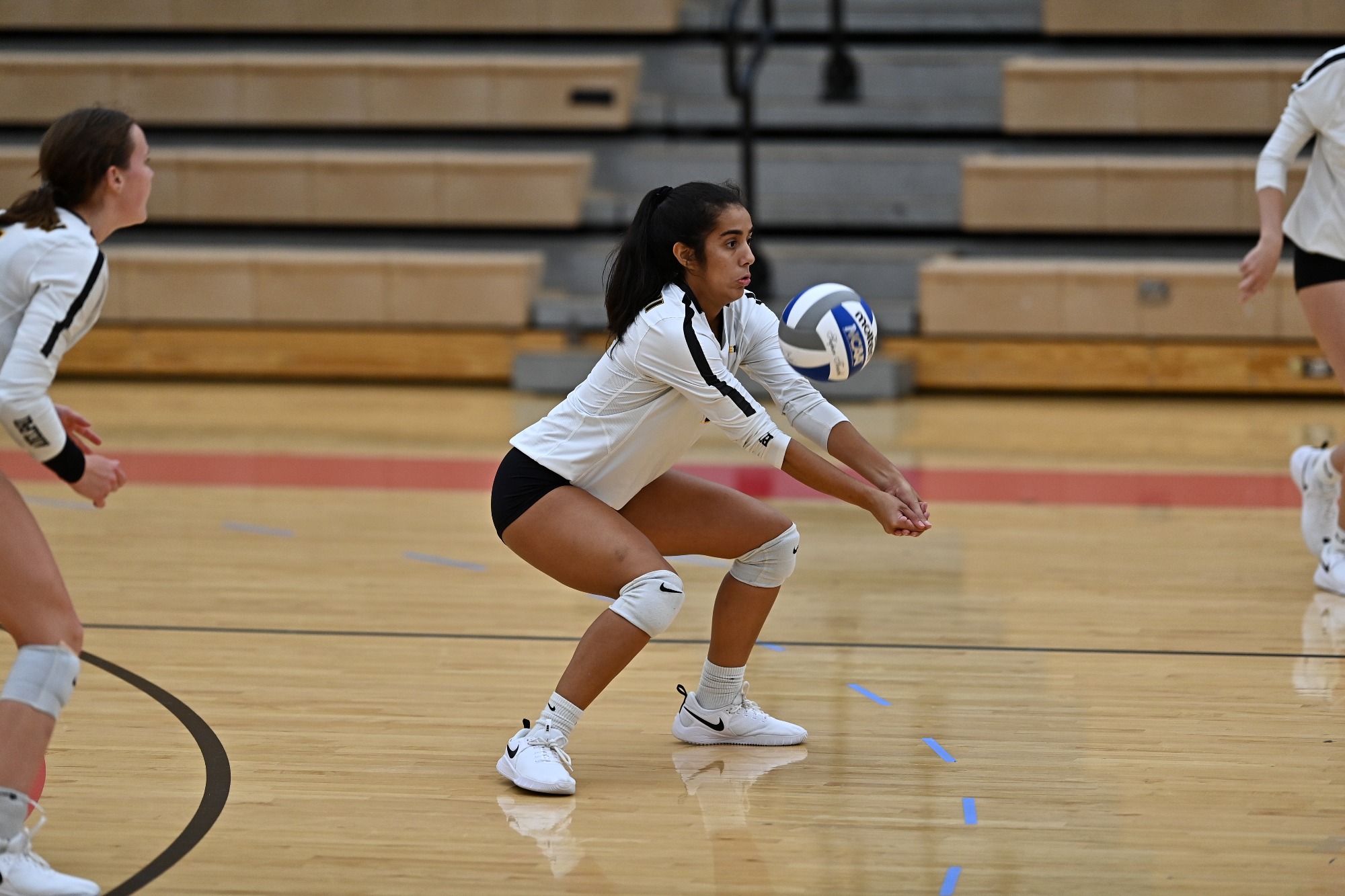 Sofia Pinzon - Women's Volleyball - Adelphi University Athletics