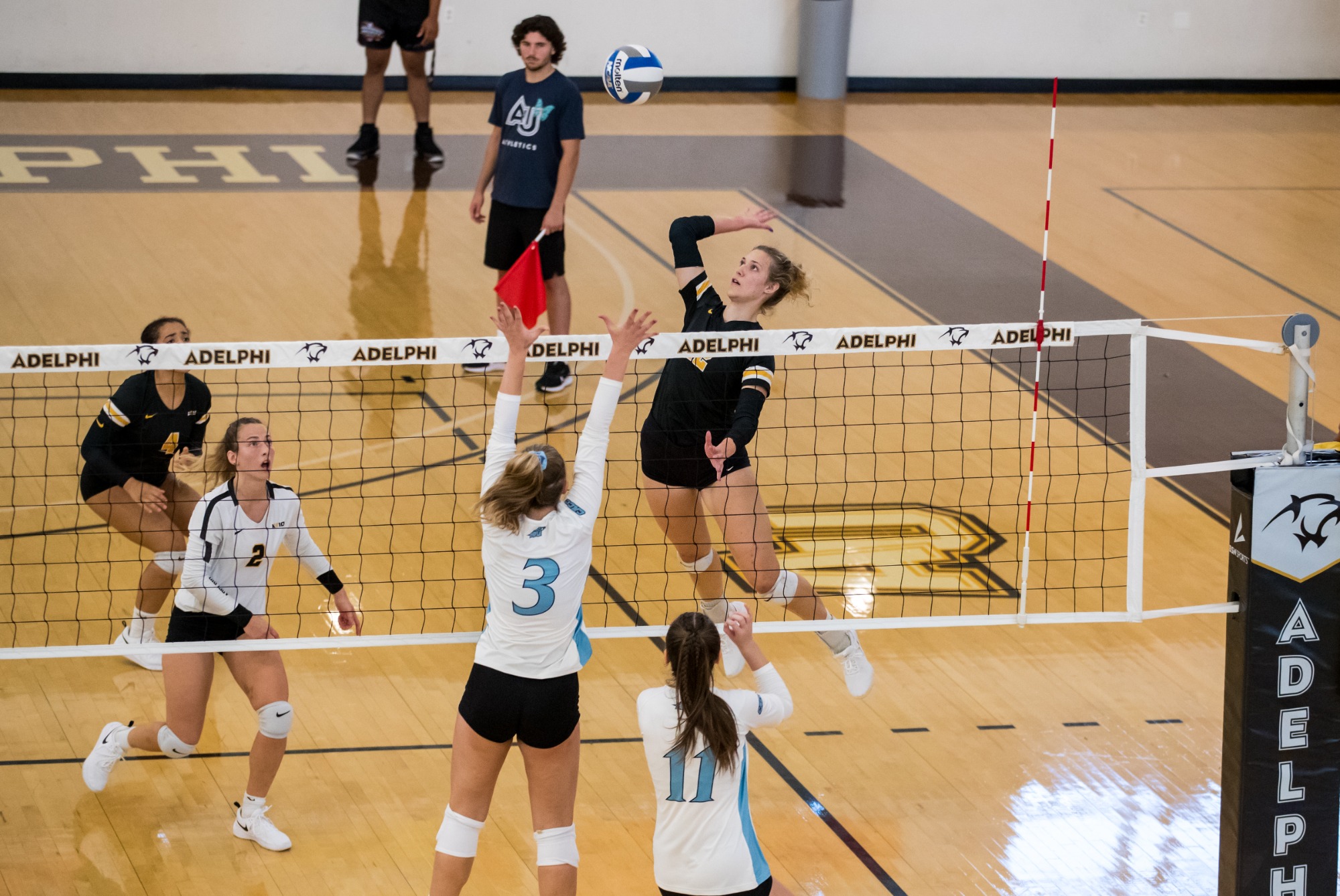 Volleyball Opens Home Tournament With 3-1 Win Over Wilmington - Adelphi ...