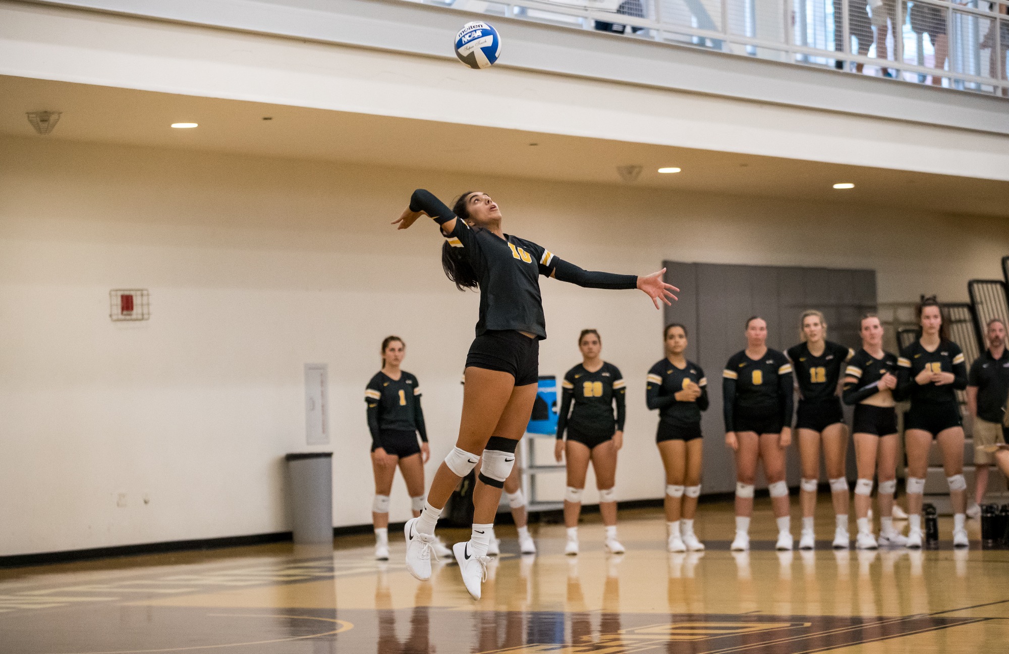 Sofia Pinzon - Women's Volleyball - Adelphi University Athletics