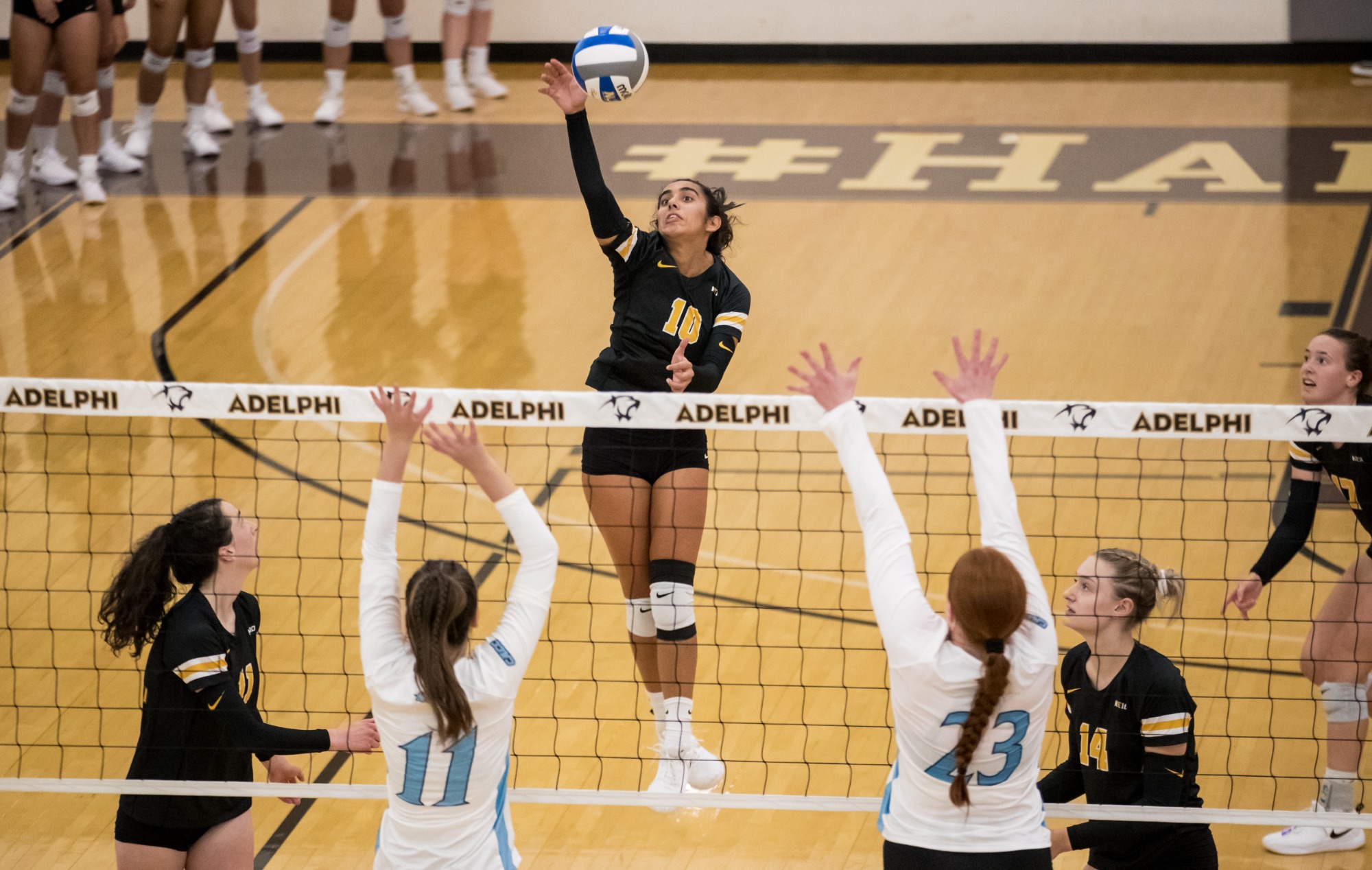 Sofia Pinzon - Women's Volleyball - Adelphi University Athletics