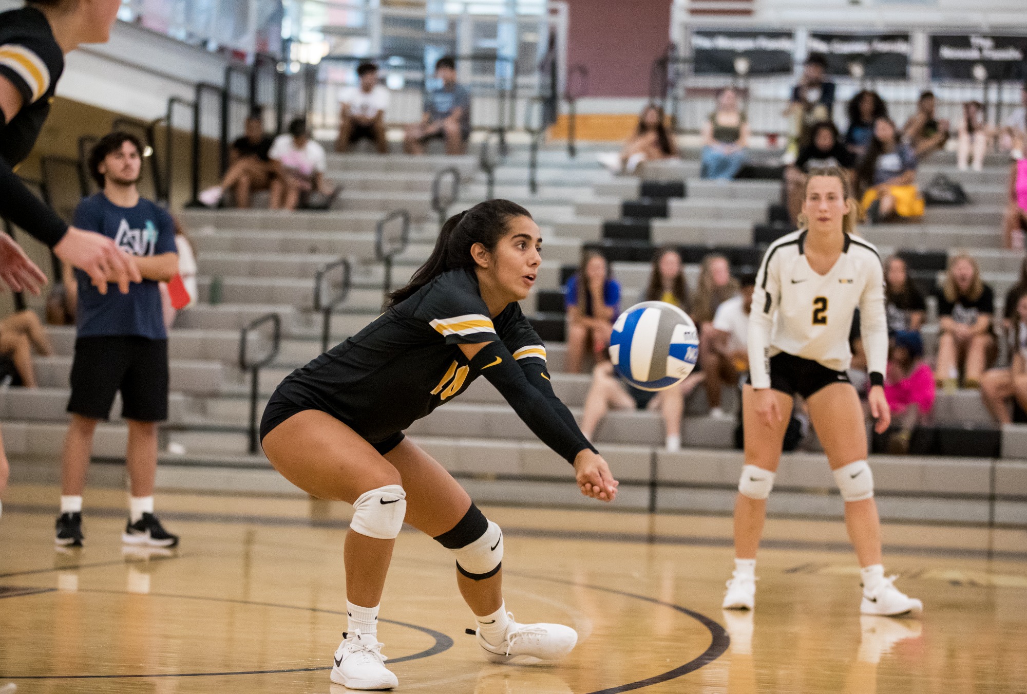 Sofia Pinzon - Women's Volleyball - Adelphi University Athletics