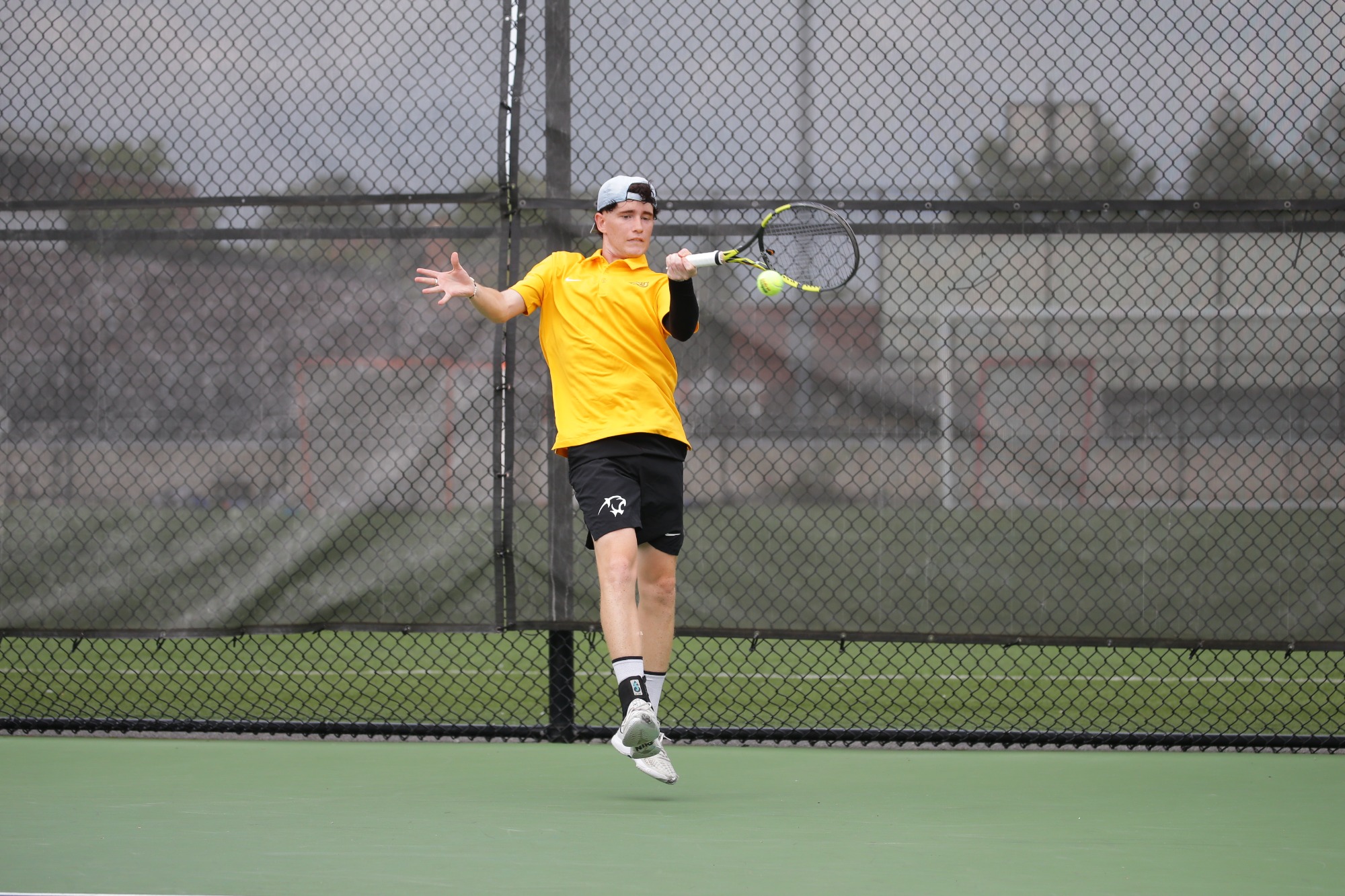 Casey Recci - Men's Tennis - Adelphi University Athletics
