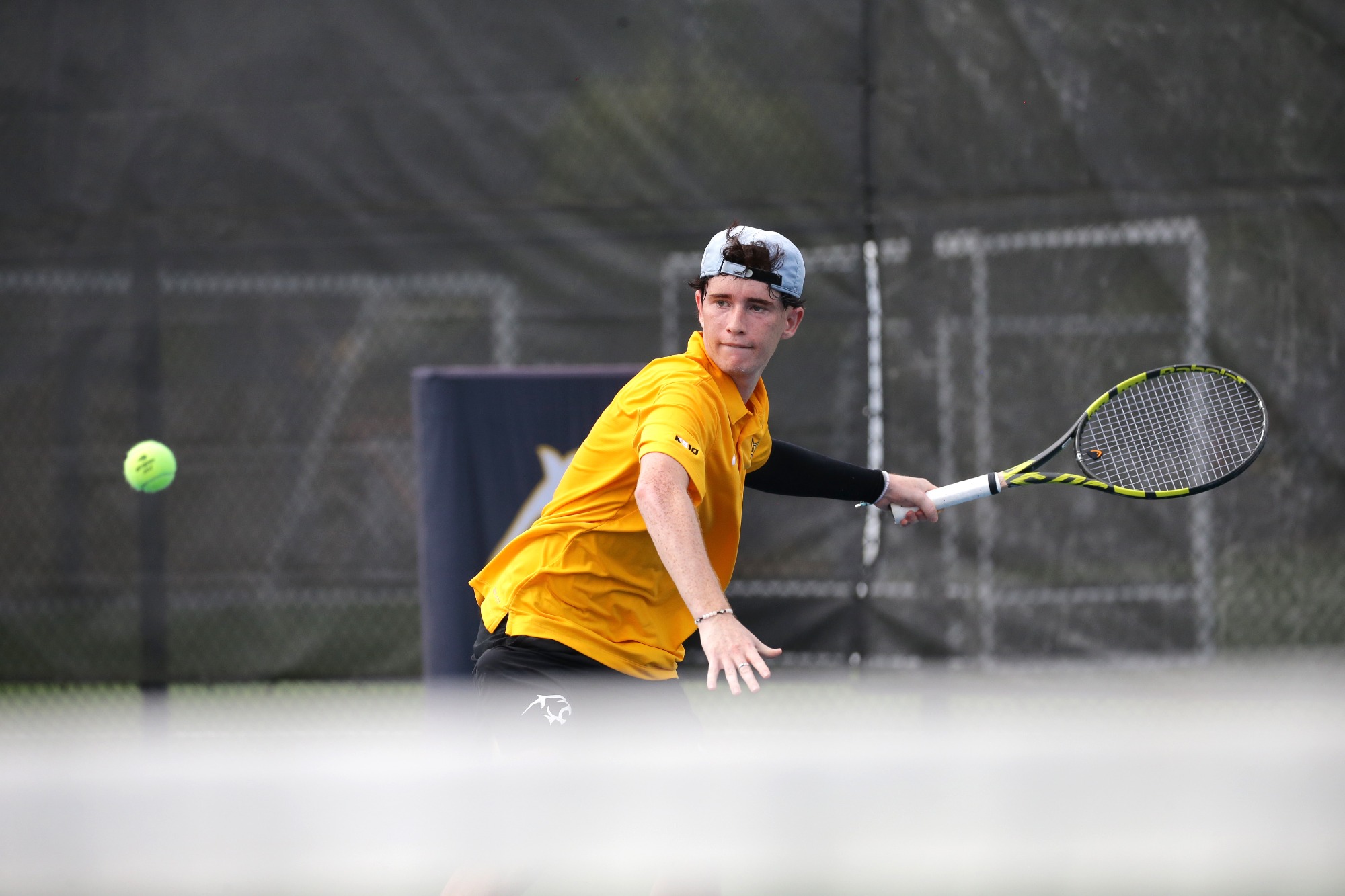 Casey Recci - Men's Tennis - Adelphi University Athletics