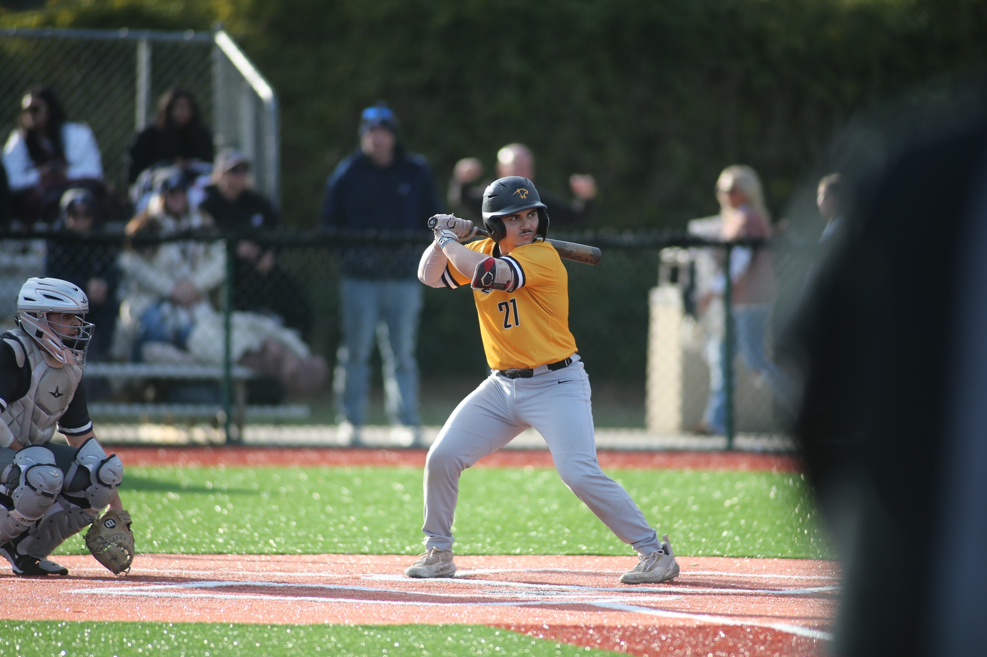 Jose Matos - Baseball - Adelphi University Athletics